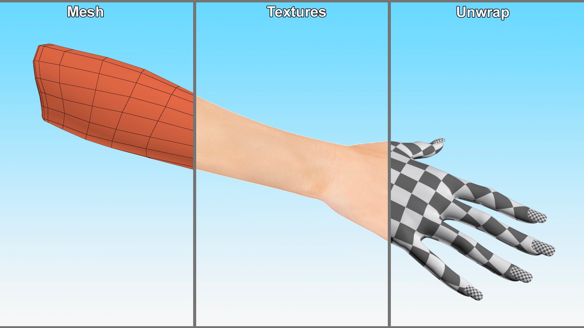 3D European Woman Hand Base Pose - TurboSquid 2195651