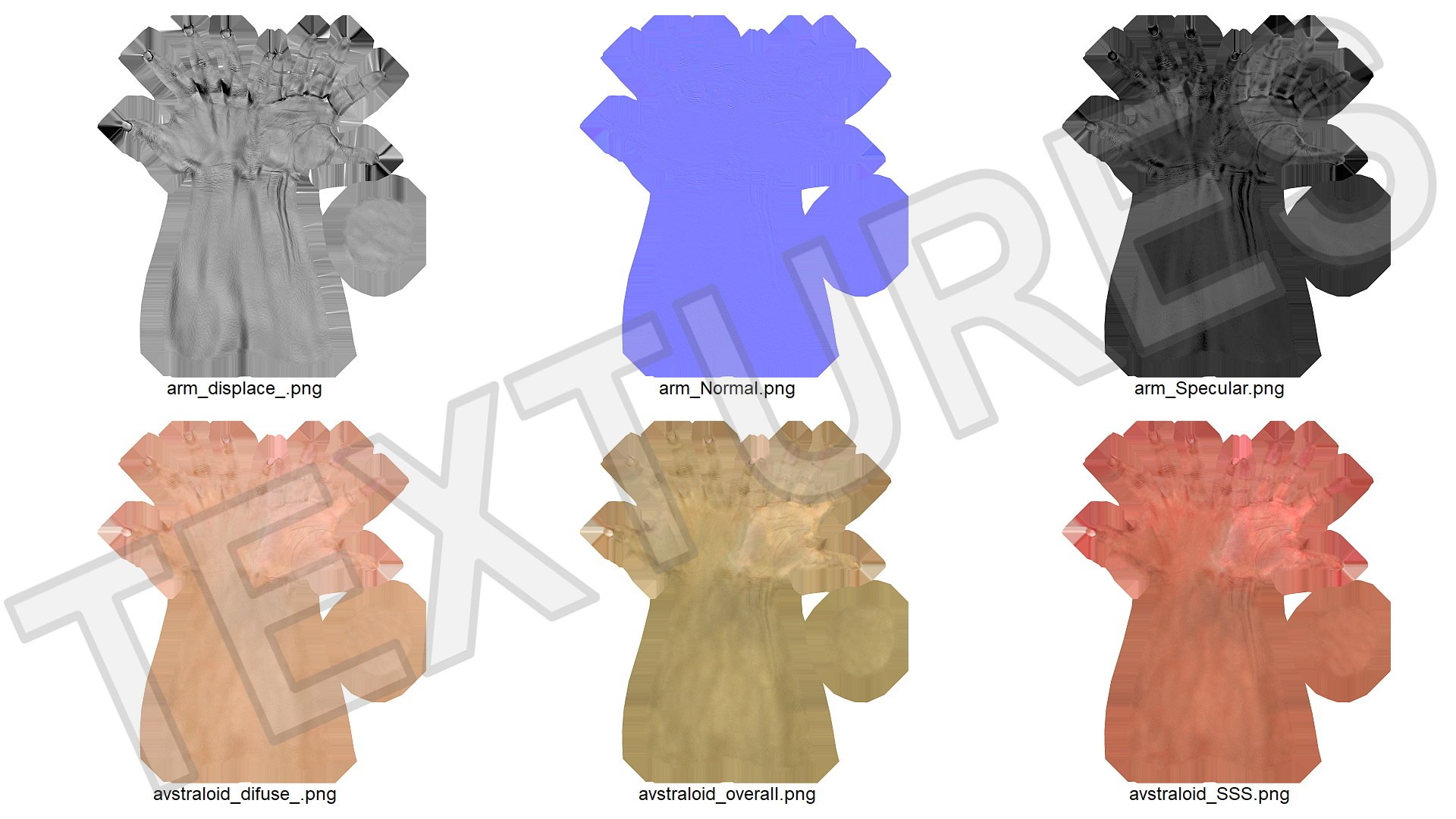 3D European Woman Hand Base Pose - TurboSquid 2195651