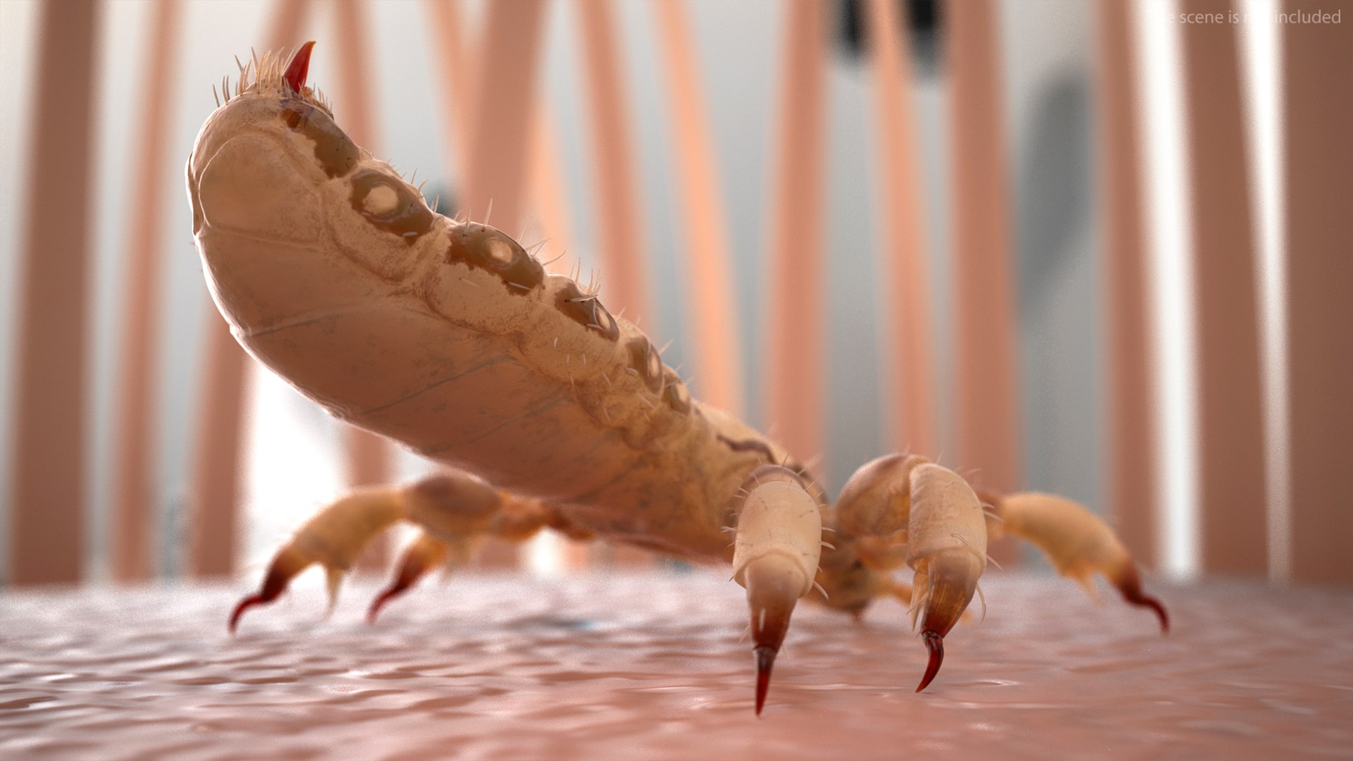 Parasitic Insect Louse White Eating Pose Model - TurboSquid 2284173
