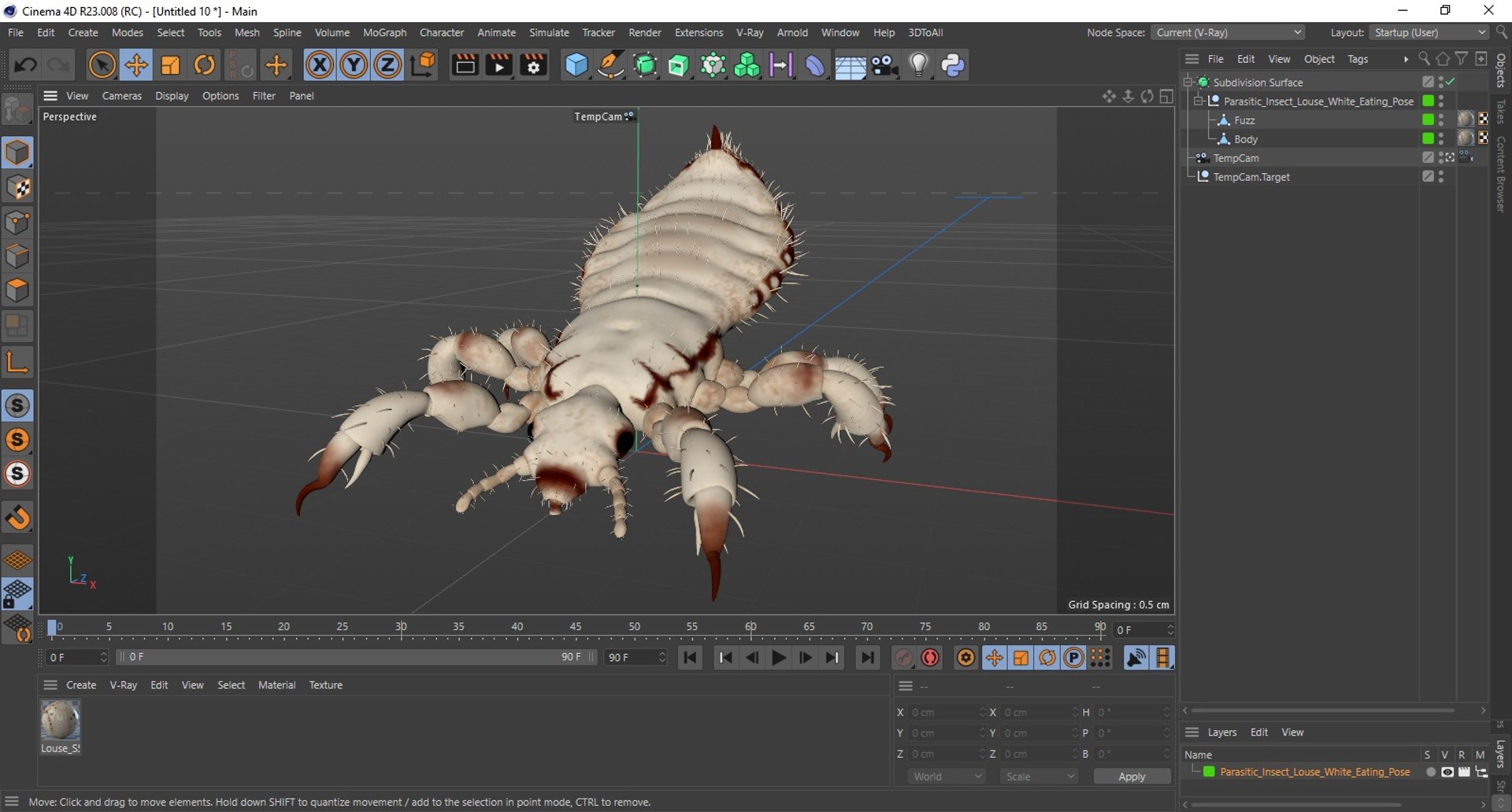 Parasitic Insect Louse White Eating Pose Model - TurboSquid 2284173
