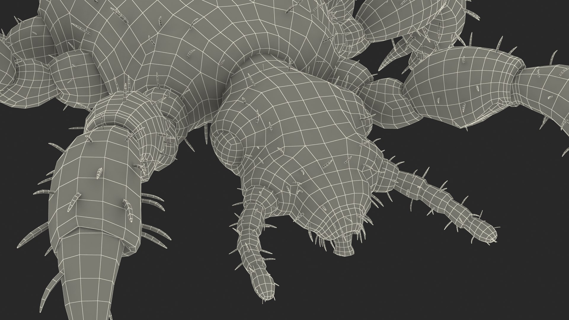 Parasitic Insect Louse White Eating Pose Model - TurboSquid 2284173