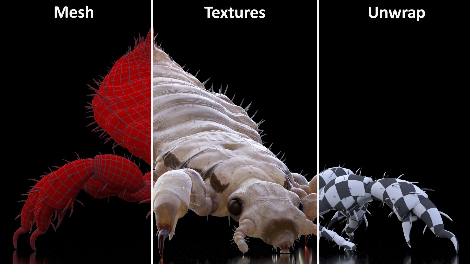 Parasitic Insect Louse White Eating Pose Model - TurboSquid 2284173