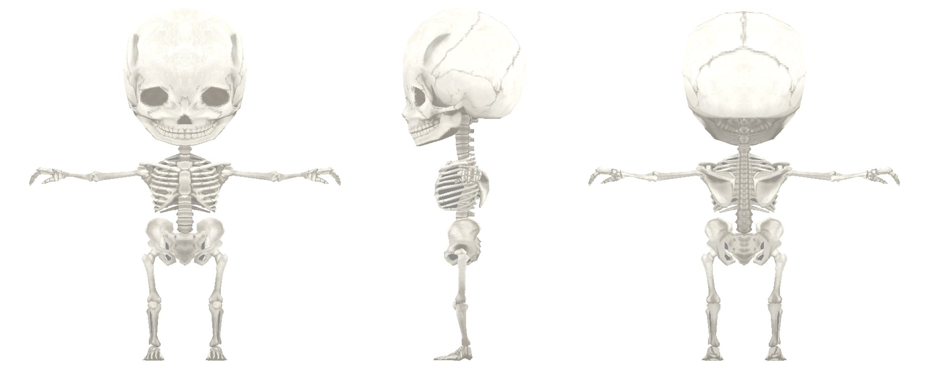 Base human skeletonhuman 3D model - TurboSquid 1347379