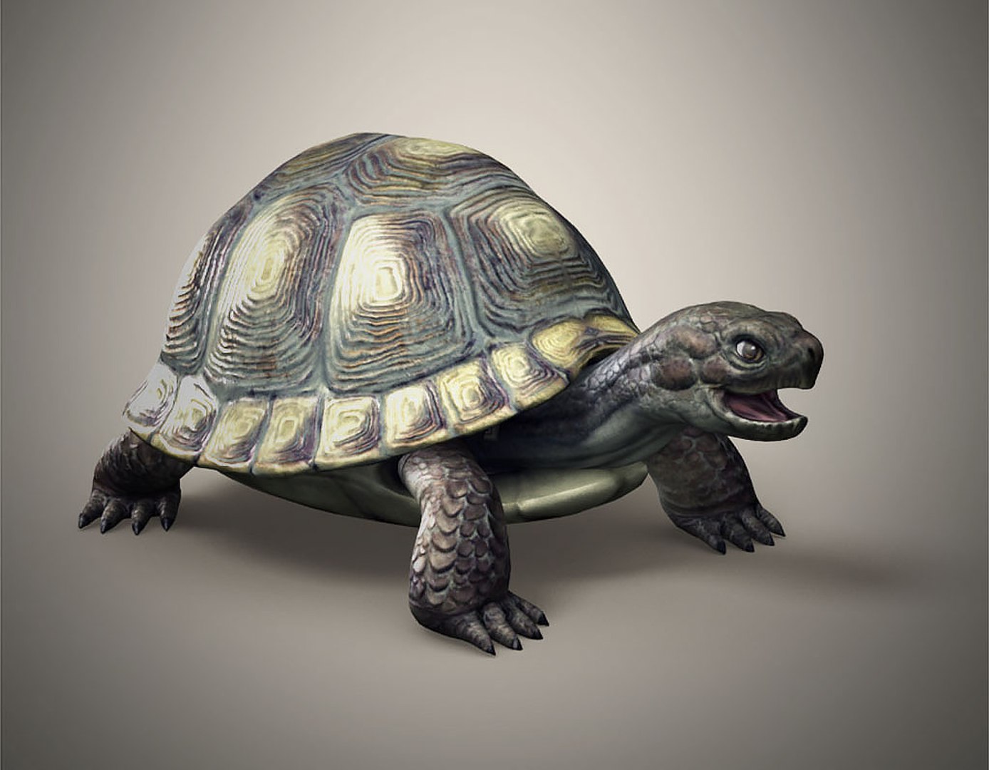 Tortoise 3D - TurboSquid 1236108
