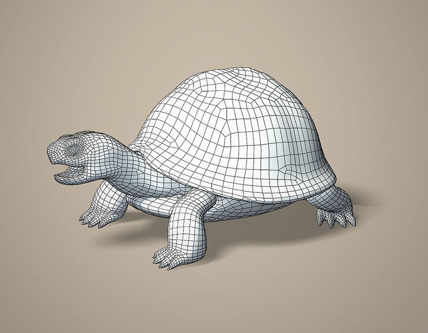 Tortoise 3D - TurboSquid 1236108