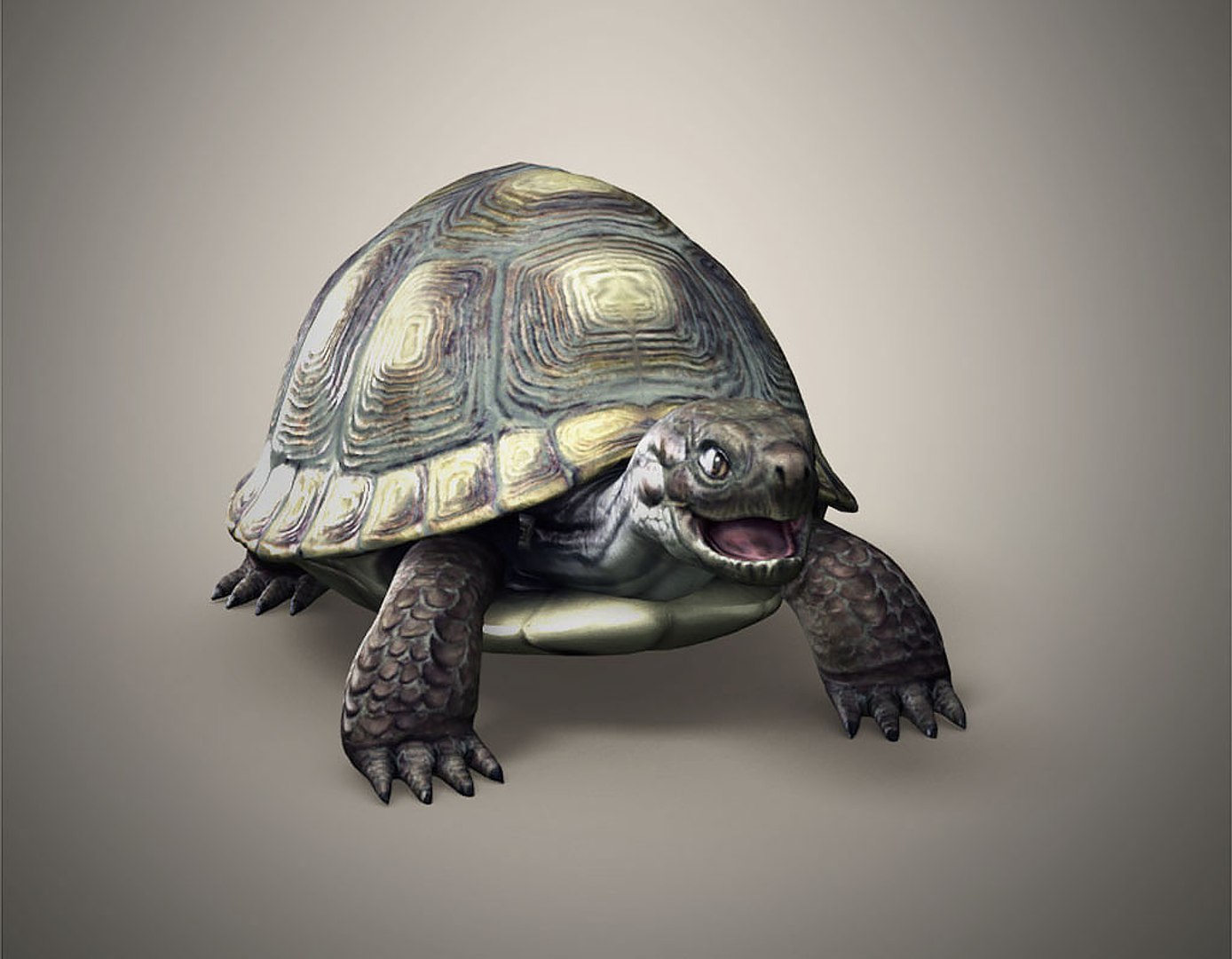 Tortoise 3D - TurboSquid 1236108