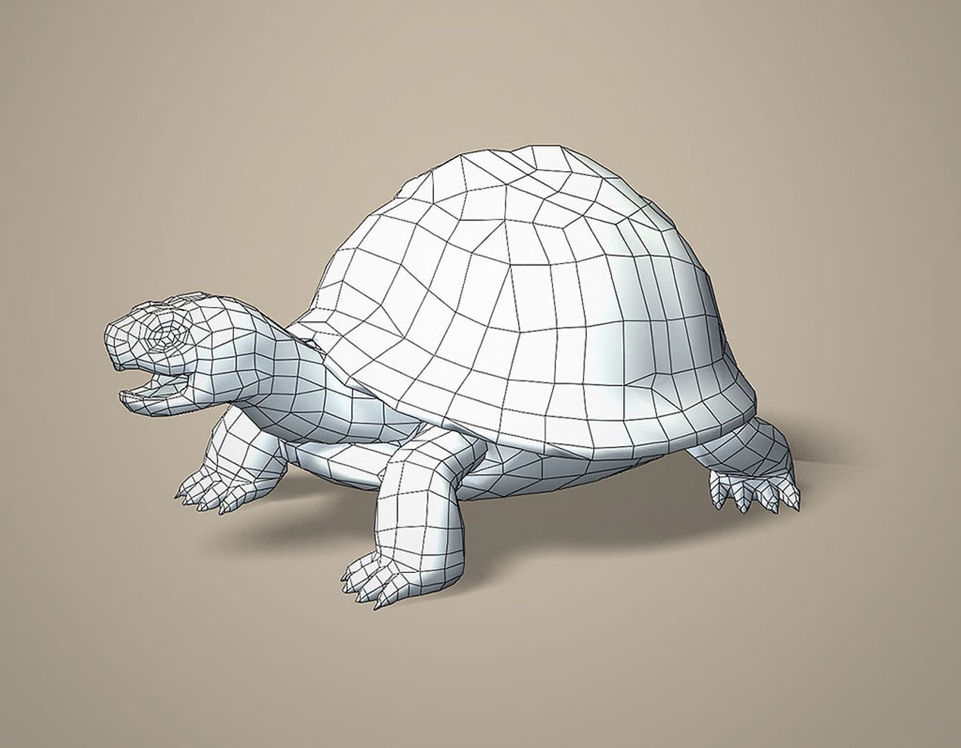 Tortoise 3D - TurboSquid 1236108
