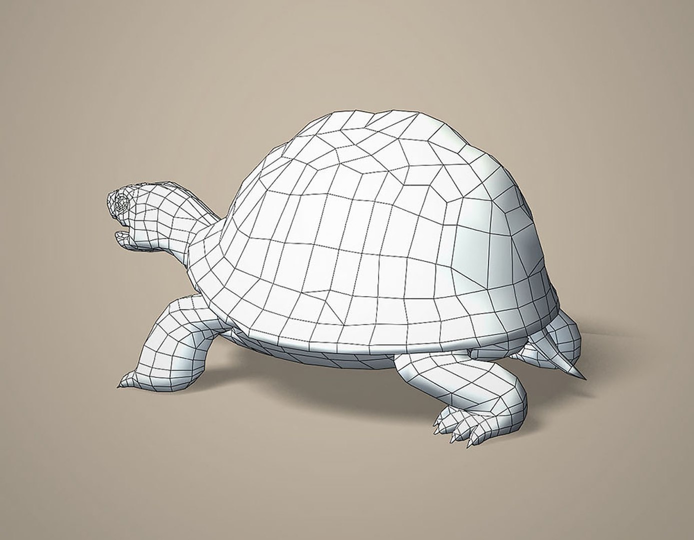 Tortoise 3D - TurboSquid 1236108