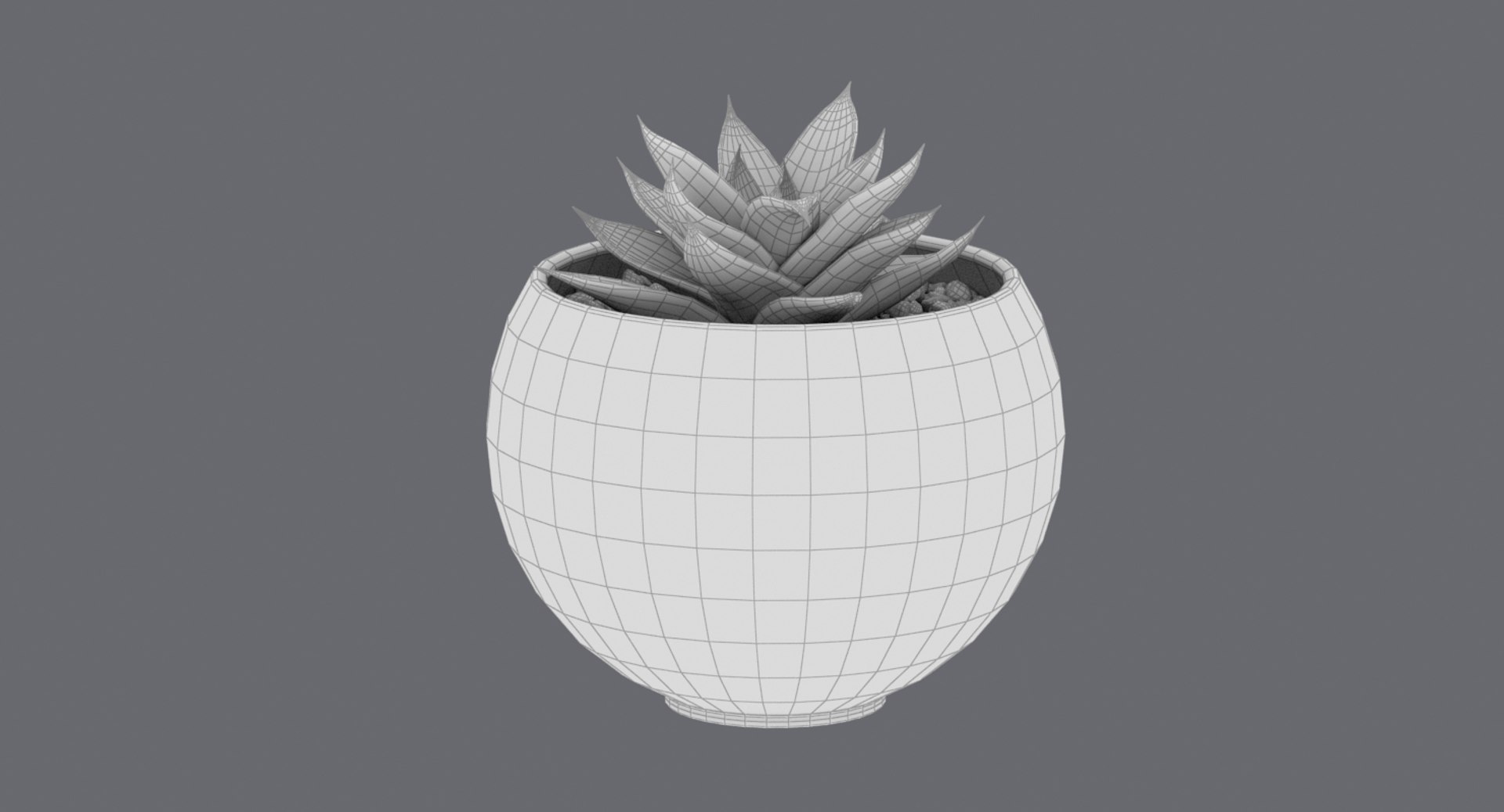 3D Succulent-01 - TurboSquid 1350058