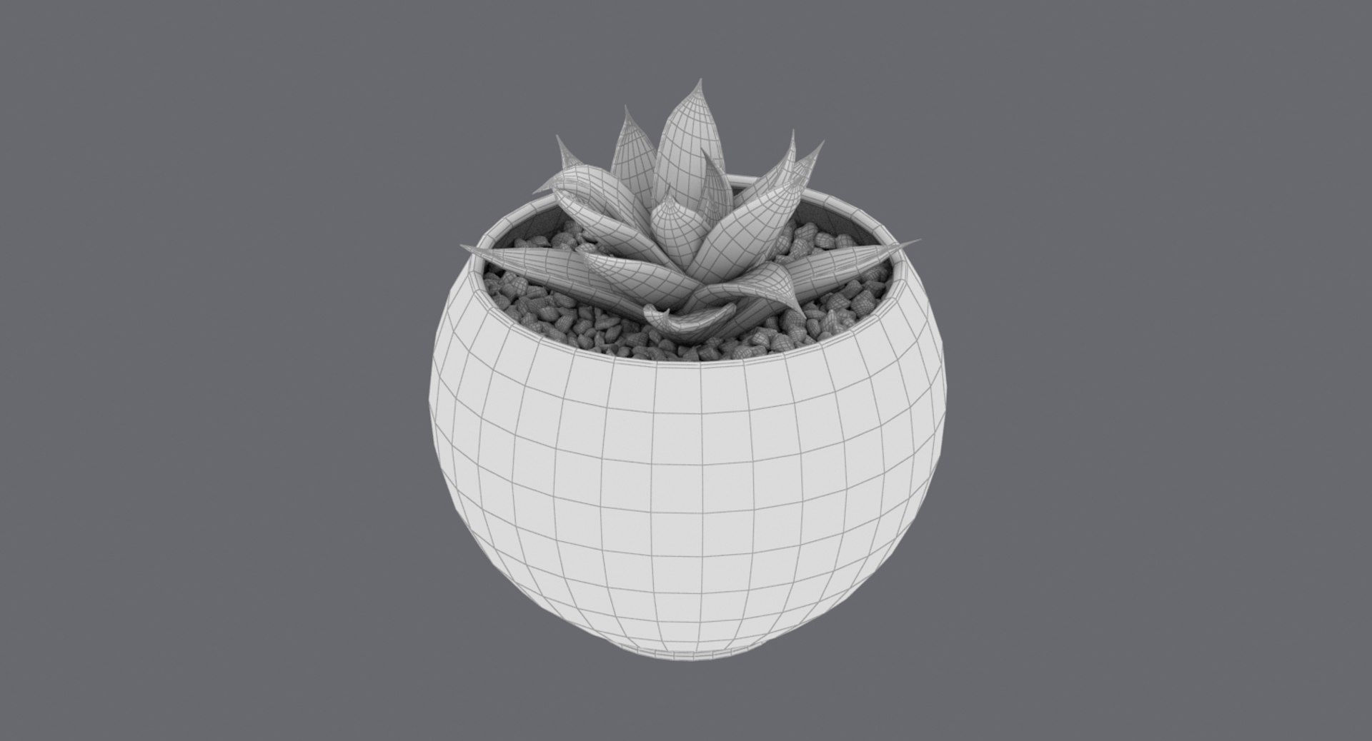 3D Succulent-01 - TurboSquid 1350058
