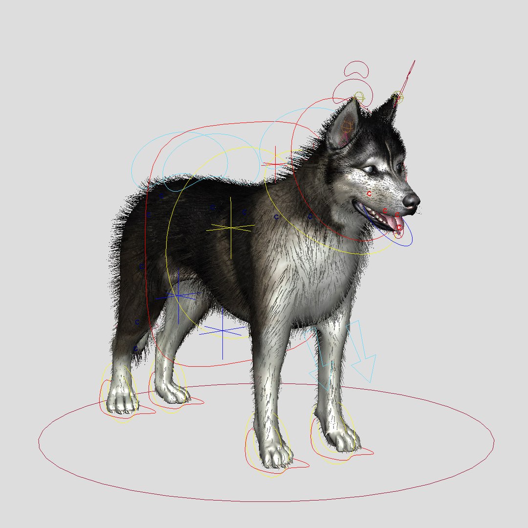 3d ma siberian husky fur animations