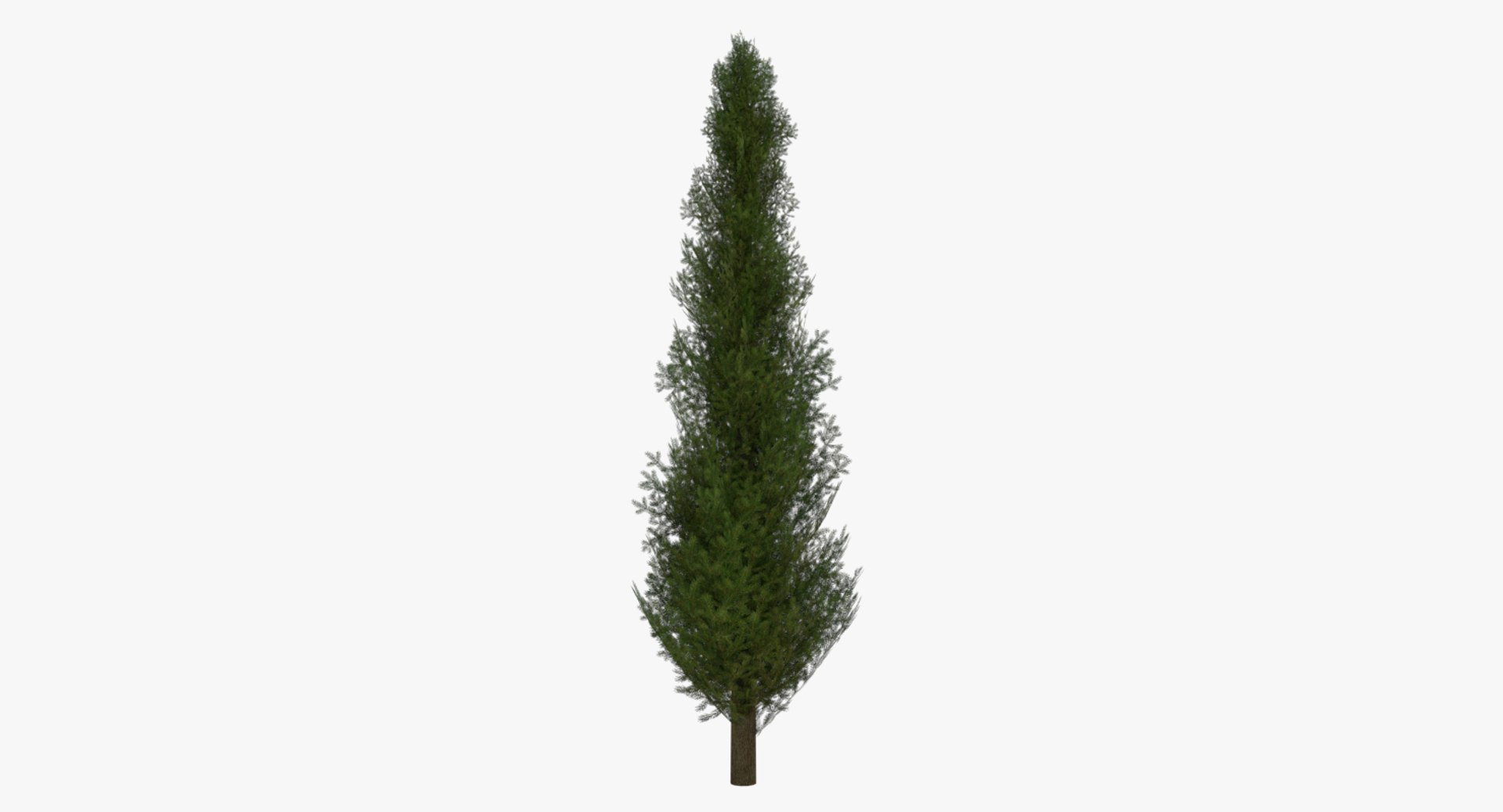 3D fir tree - TurboSquid 1198739