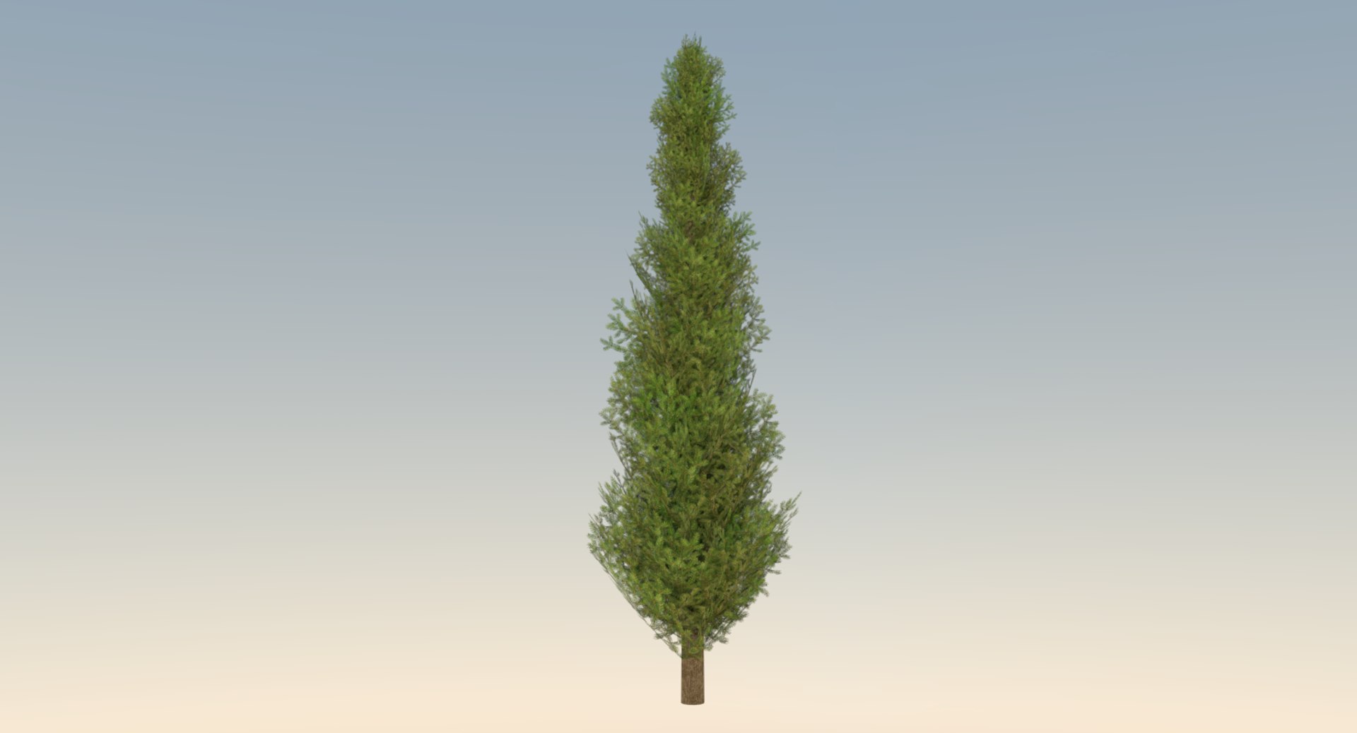 3D fir tree - TurboSquid 1198739