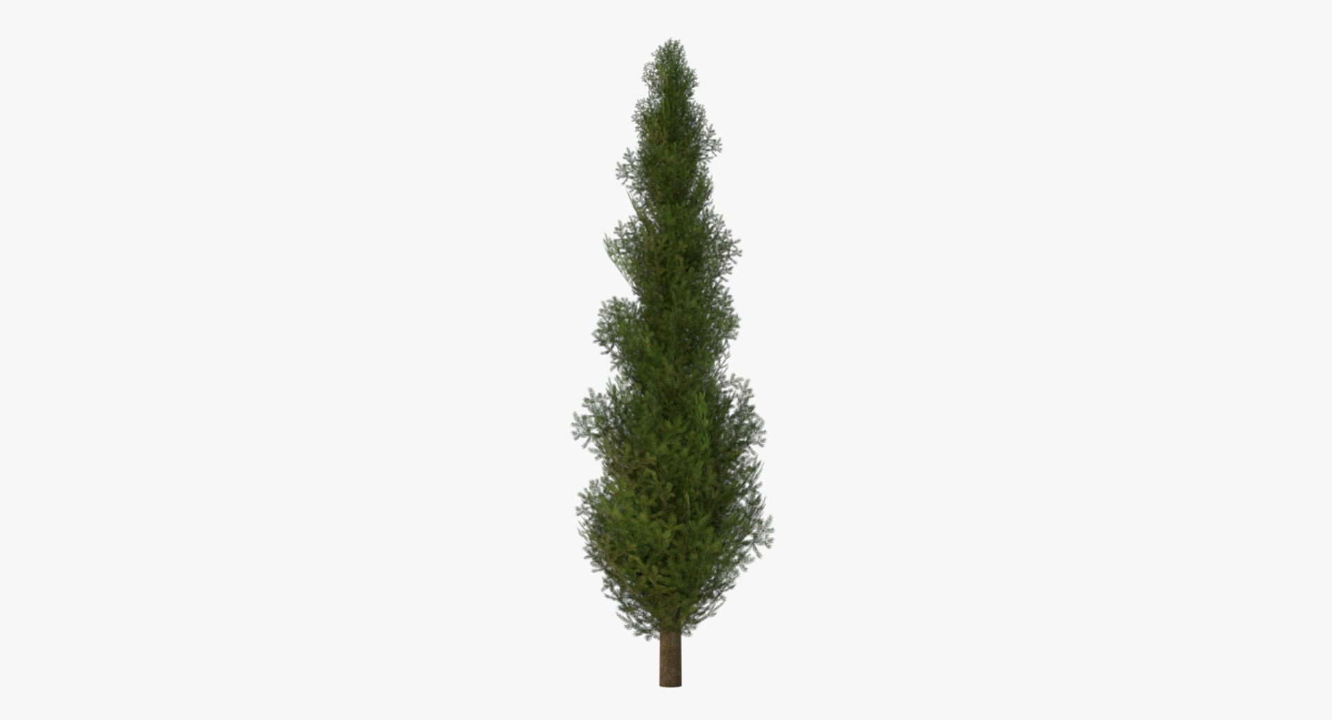 3D fir tree - TurboSquid 1198739