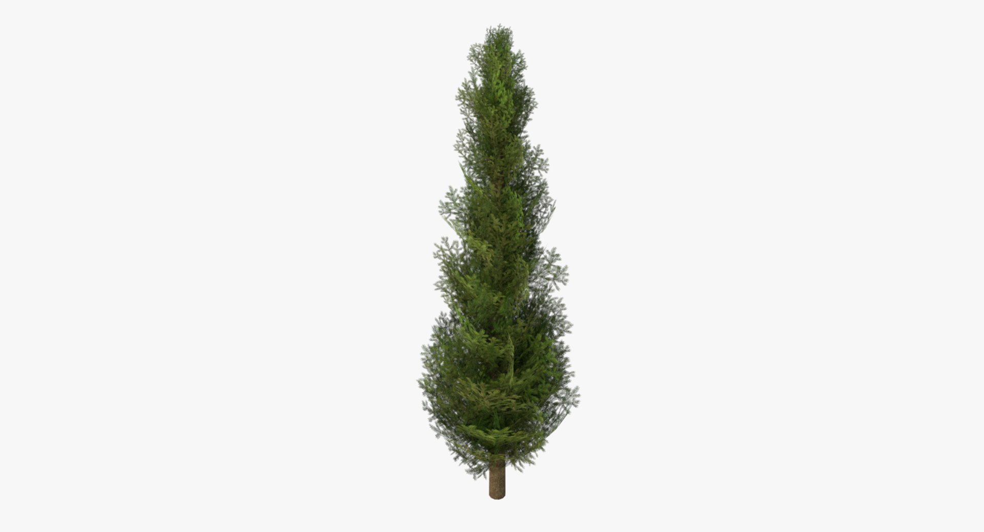 3D fir tree - TurboSquid 1198739