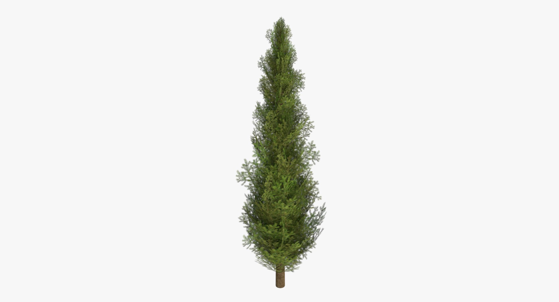 3D fir tree - TurboSquid 1198739