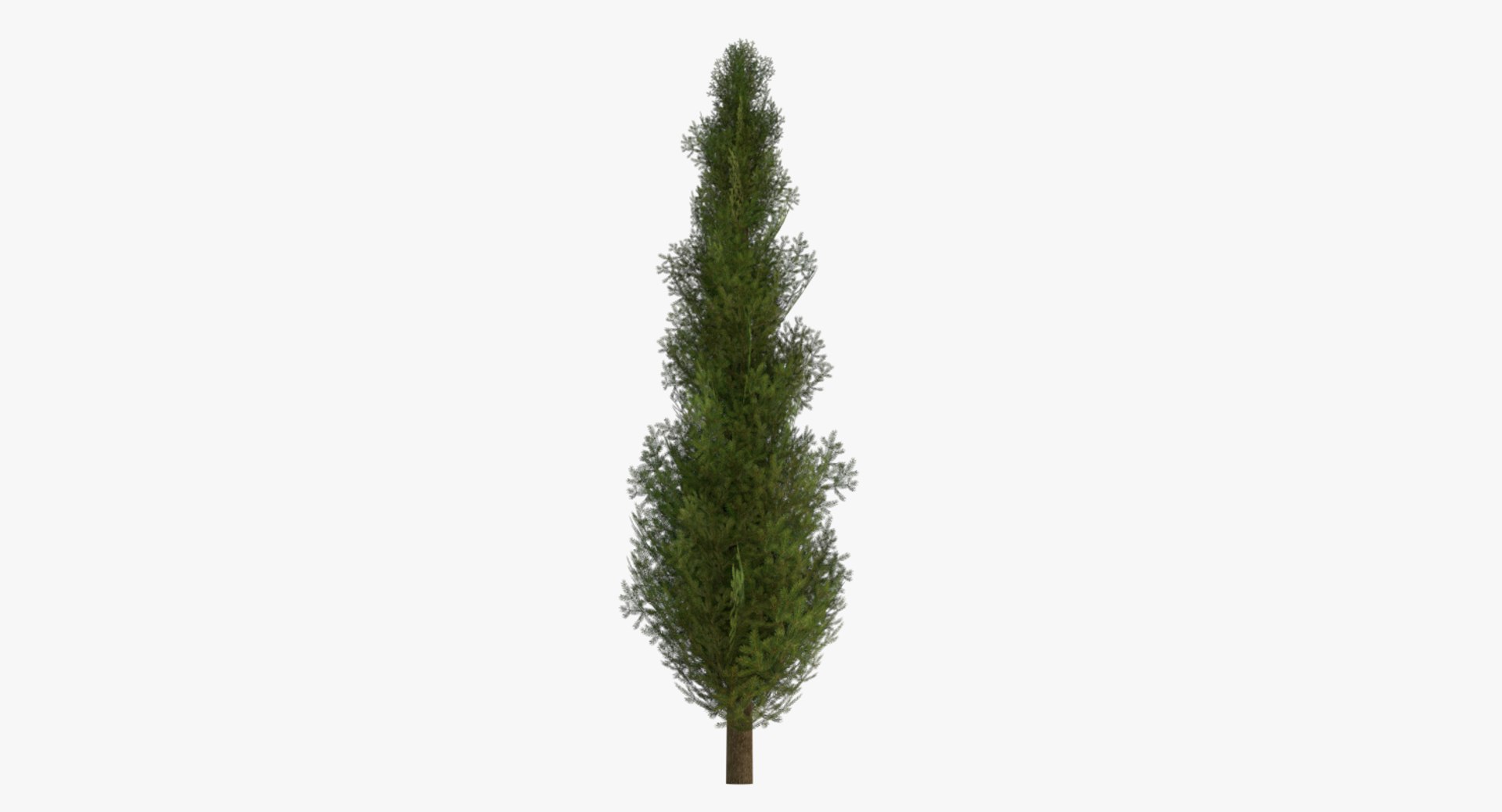 3D fir tree - TurboSquid 1198739