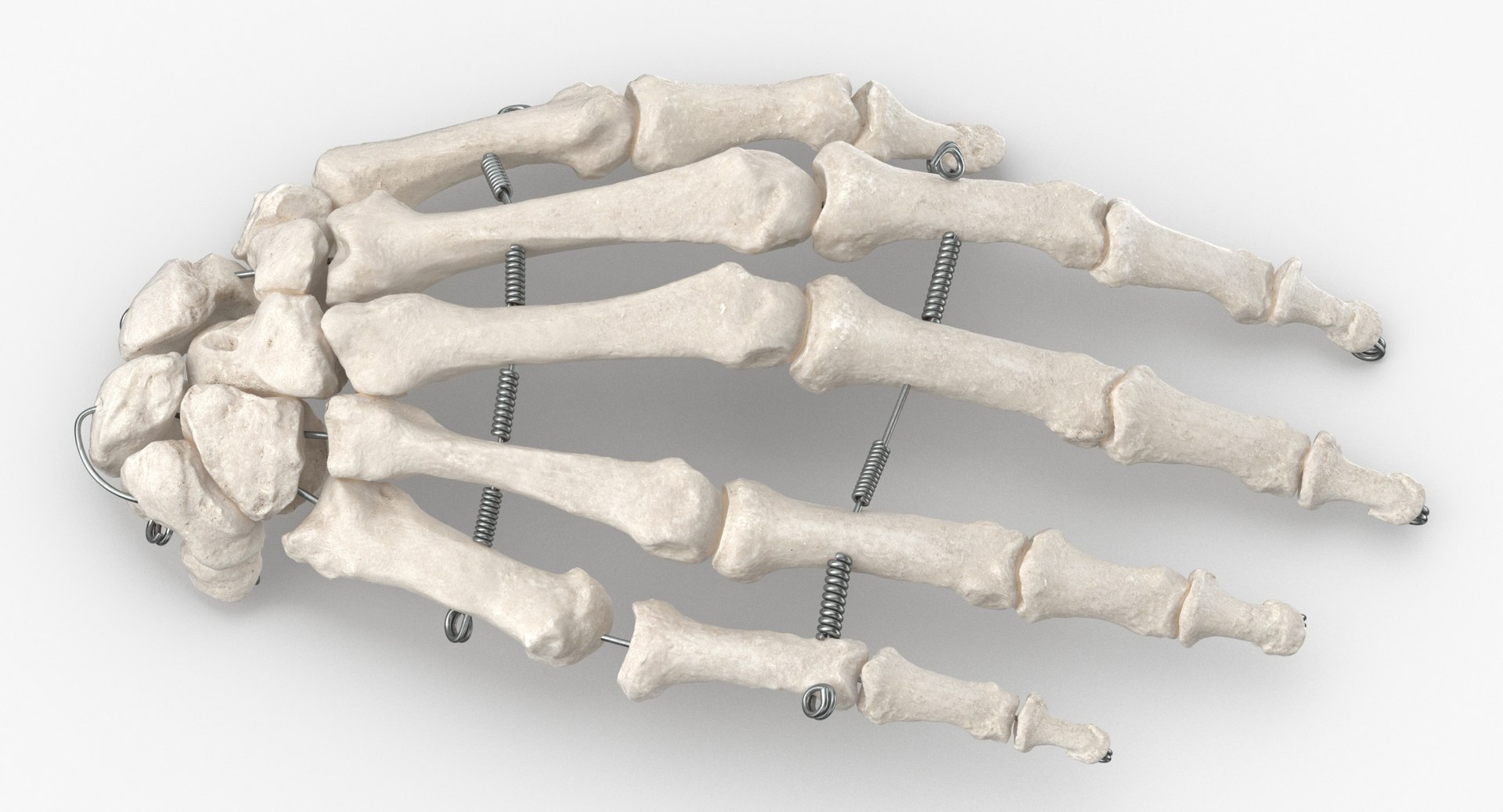 3D Human Hand Bones Wire - TurboSquid 1597294