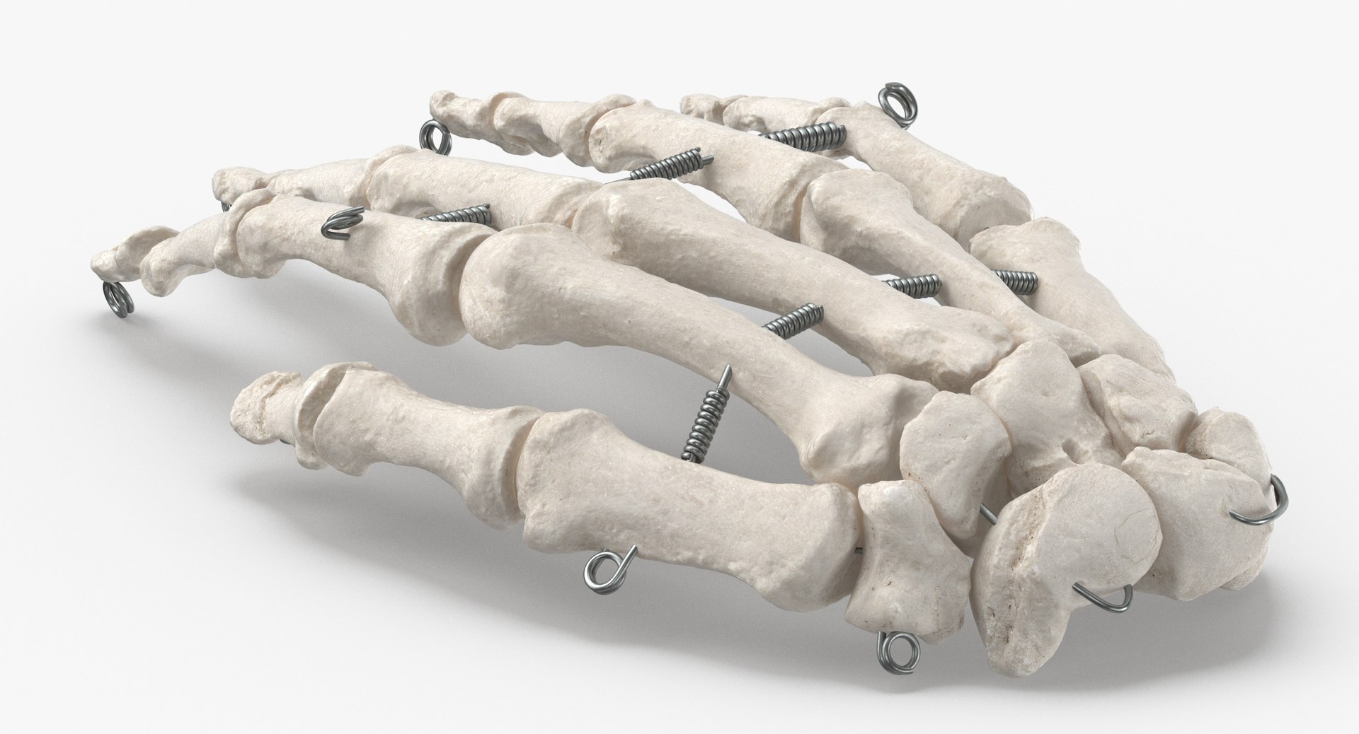 3D Human Hand Bones Wire - TurboSquid 1597294