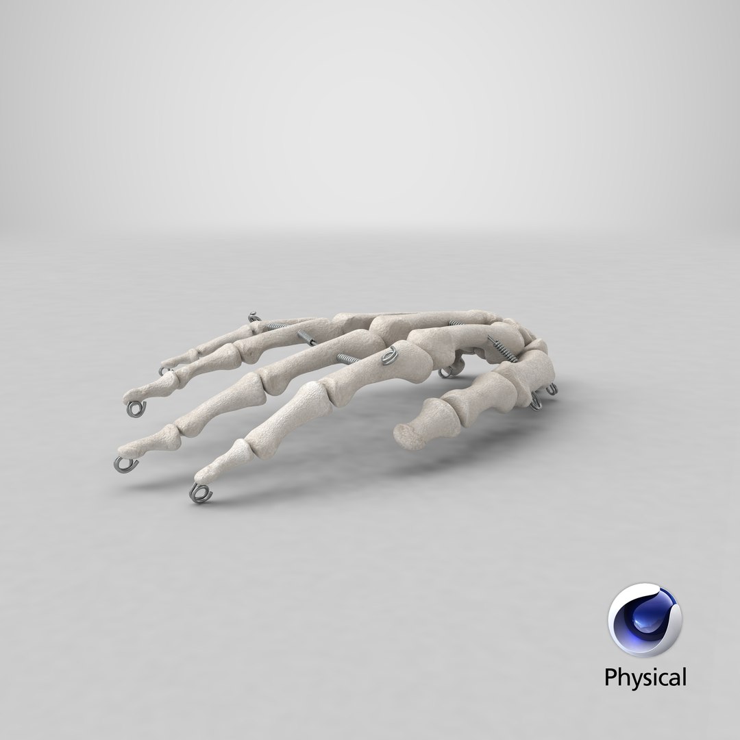 3D human hand bones wire - TurboSquid 1597294
