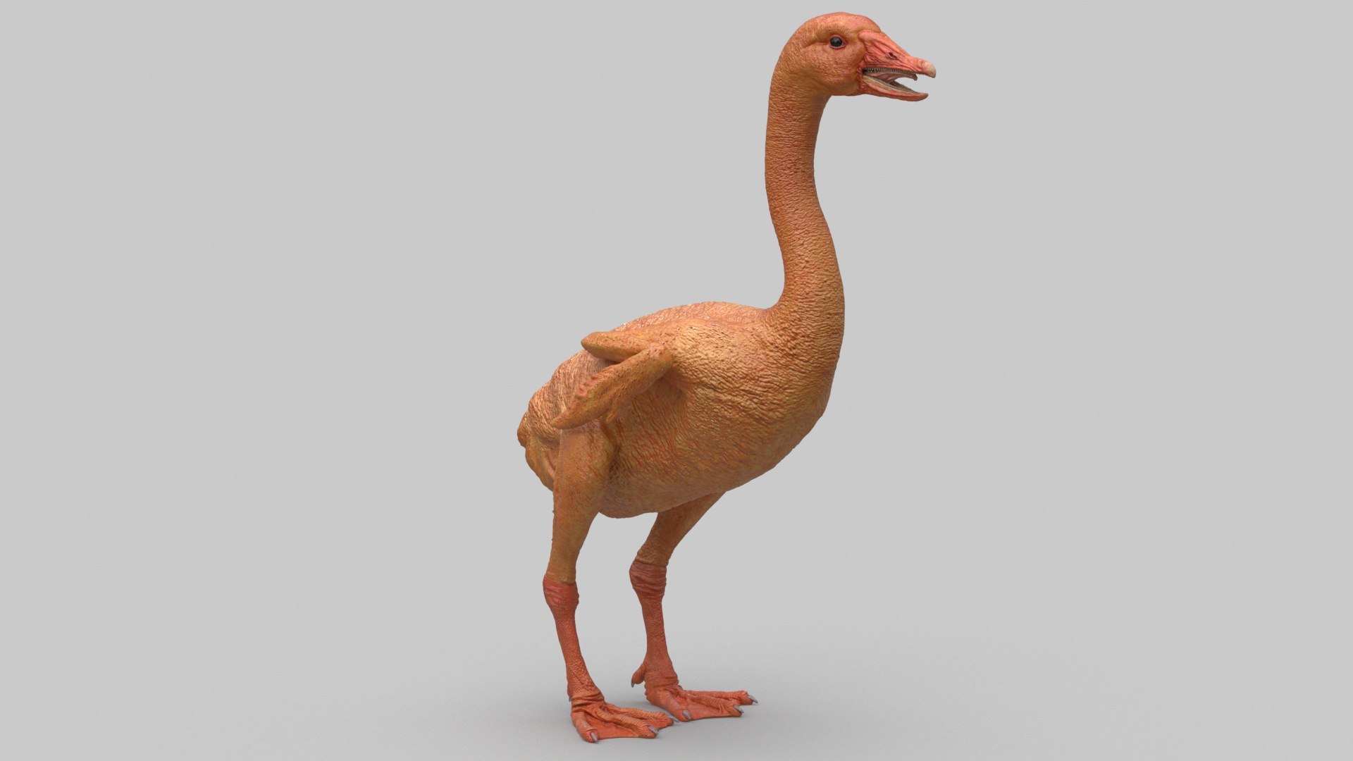 Goose Body 3D - TurboSquid 2049617