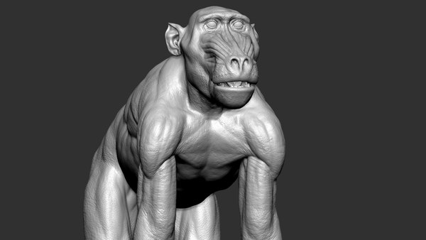 modelo 3d Escultura Mandrill VFX Zbrush - TurboSquid 1919416