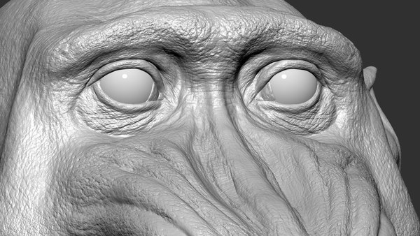 3D model Mandrill VFX Zbrush sculpture - TurboSquid 1919416