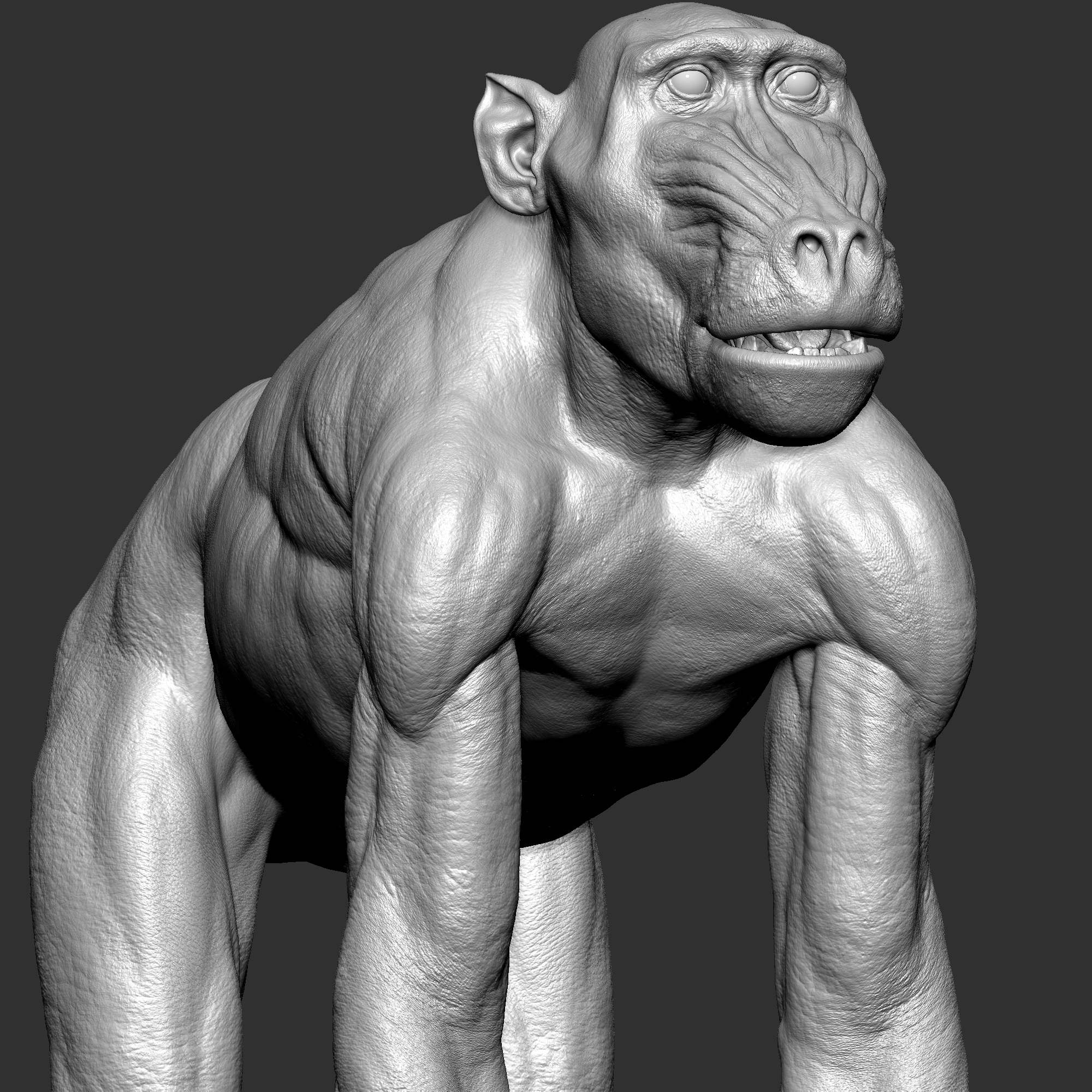 3D model Mandrill VFX Zbrush sculpture - TurboSquid 1919416