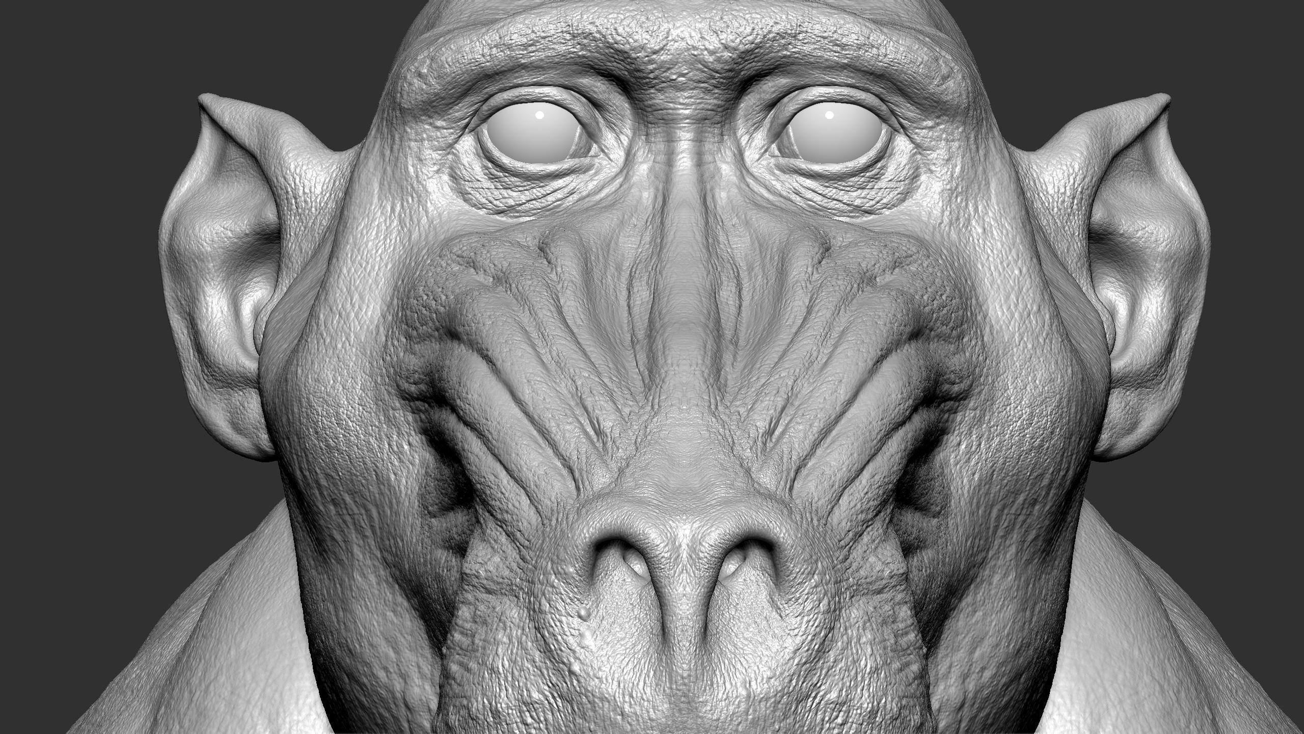 3D model Mandrill VFX Zbrush sculpture - TurboSquid 1919416