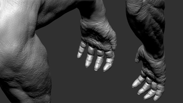 3D model Mandrill VFX Zbrush sculpture - TurboSquid 1919416