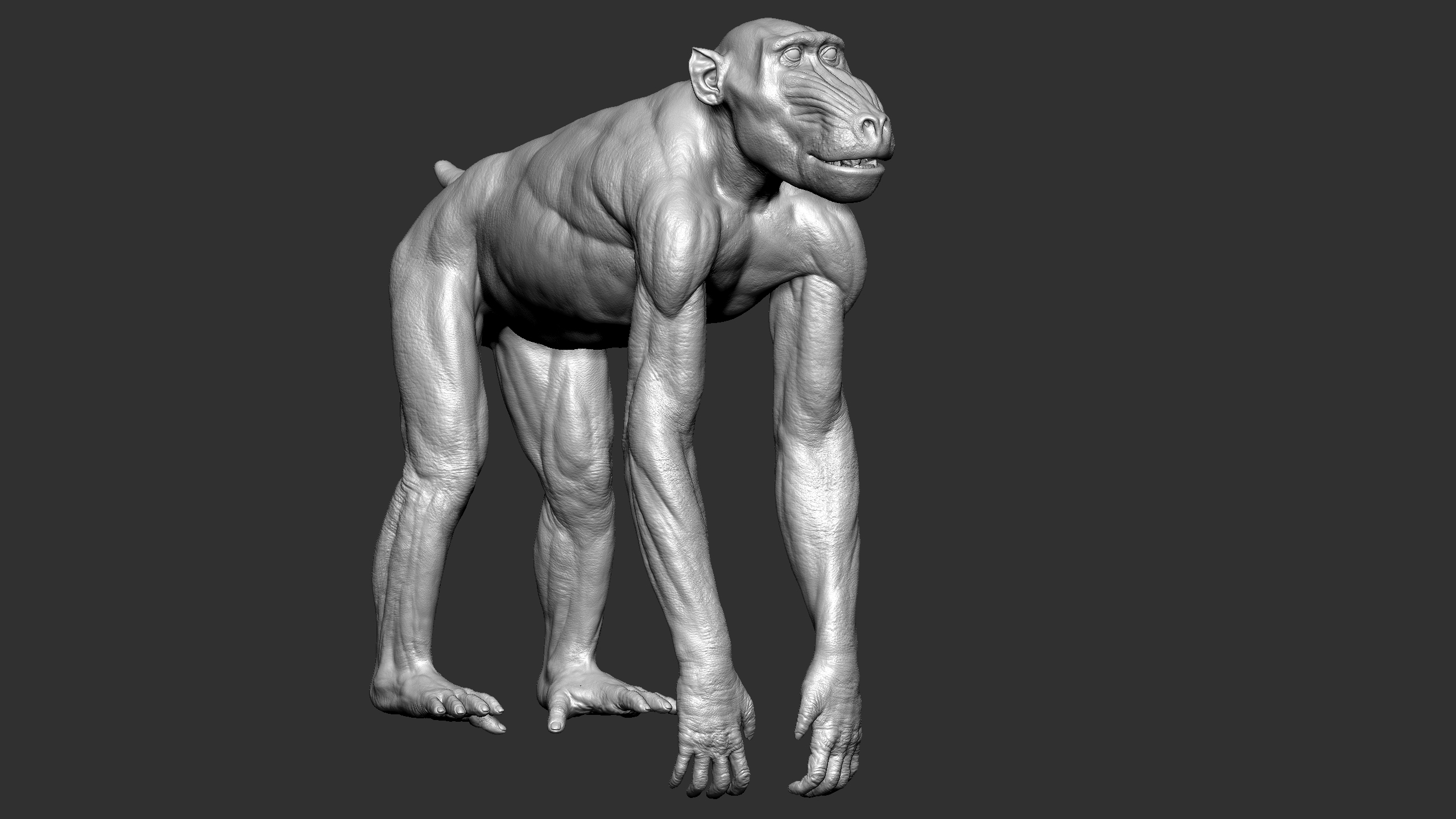 3D model Mandrill VFX Zbrush sculpture - TurboSquid 1919416