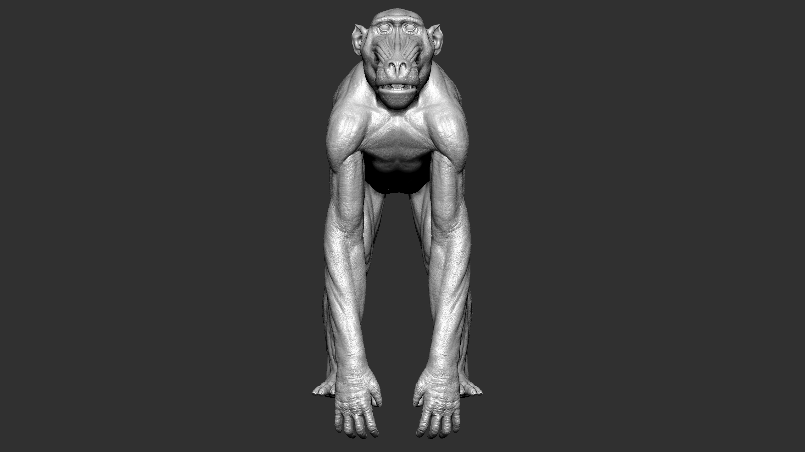 3D model Mandrill VFX Zbrush sculpture - TurboSquid 1919416