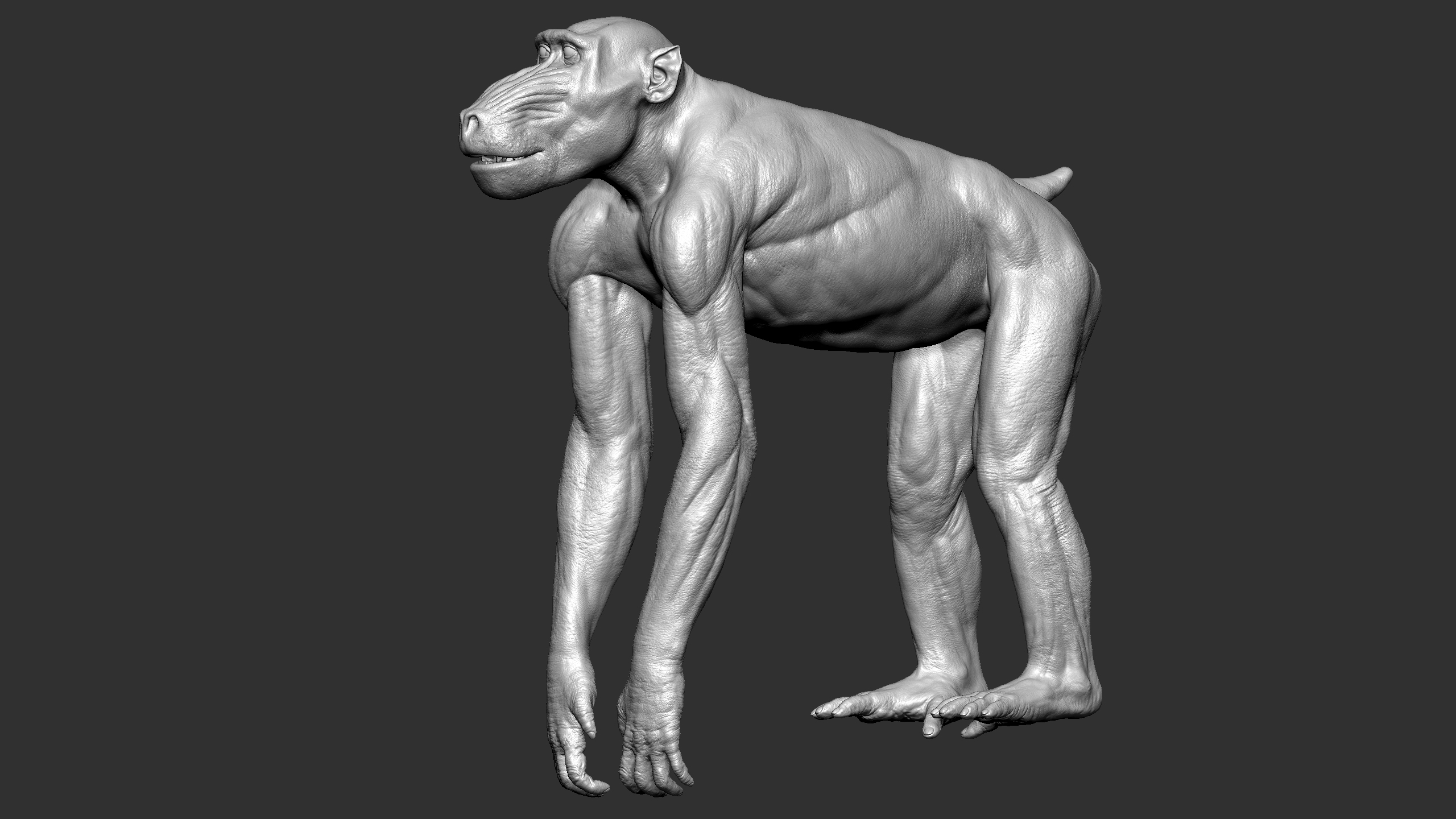 3D model Mandrill VFX Zbrush sculpture - TurboSquid 1919416