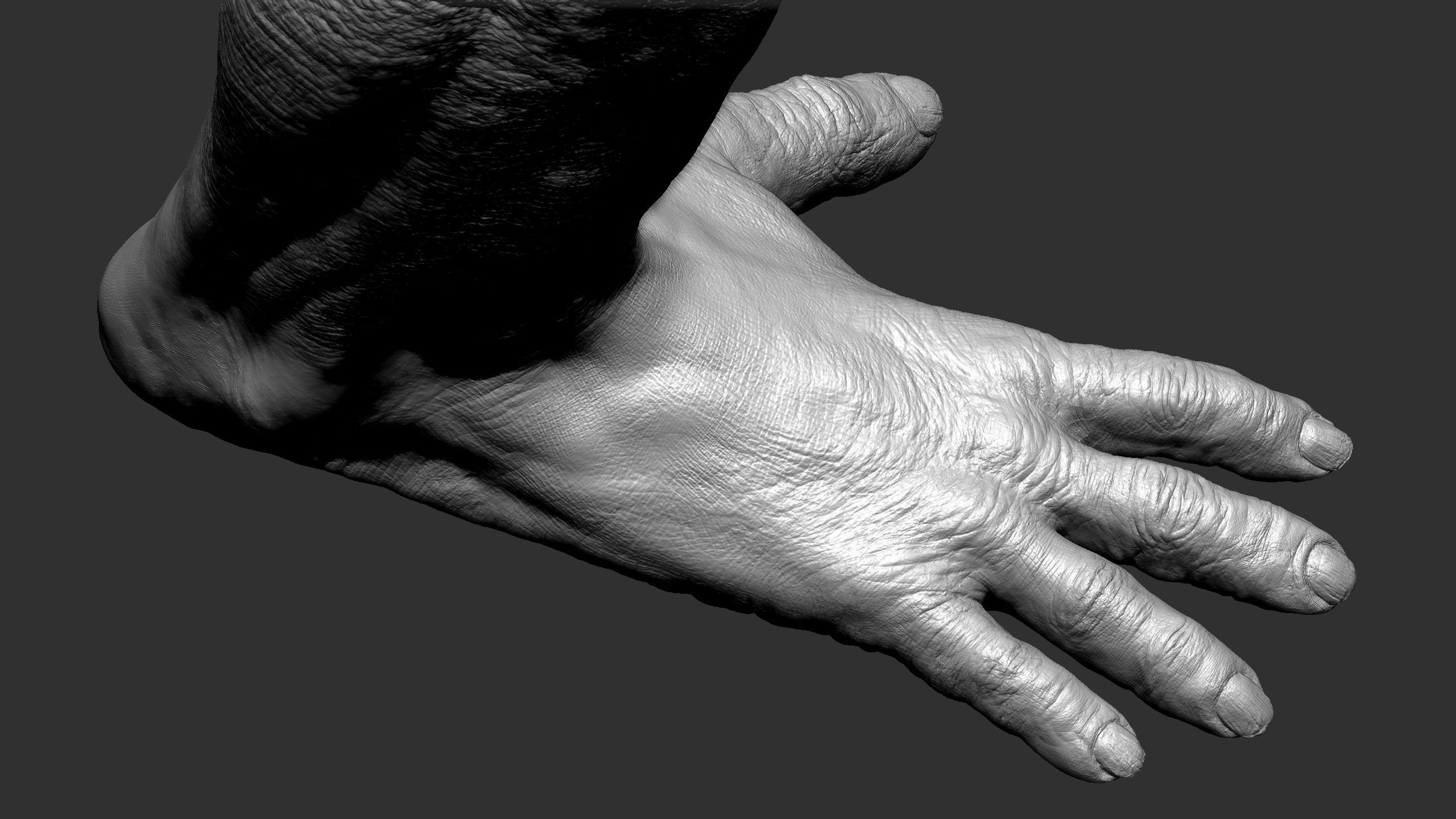 3D model Mandrill VFX Zbrush sculpture - TurboSquid 1919416