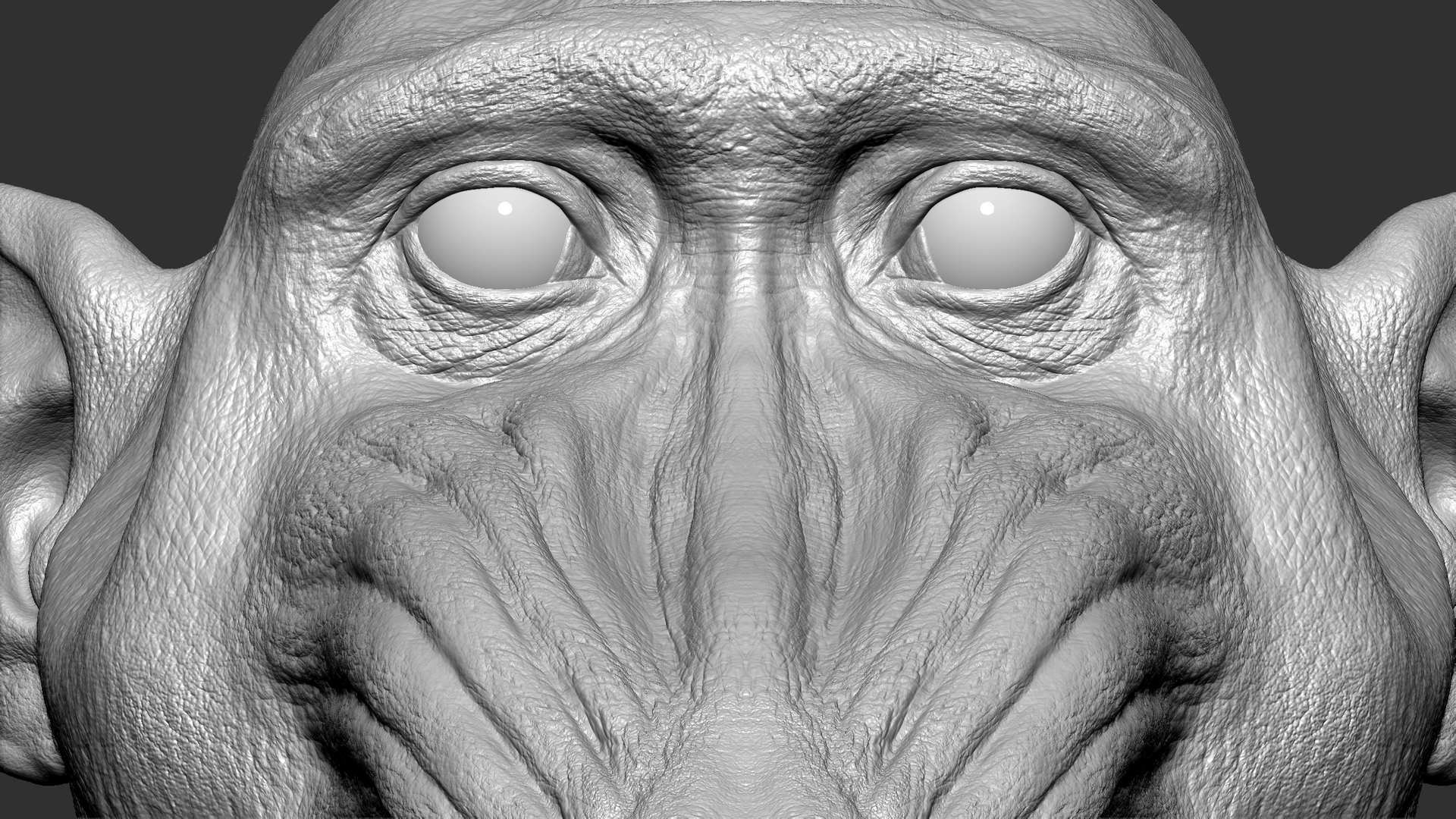 3D model Mandrill VFX Zbrush sculpture - TurboSquid 1919416