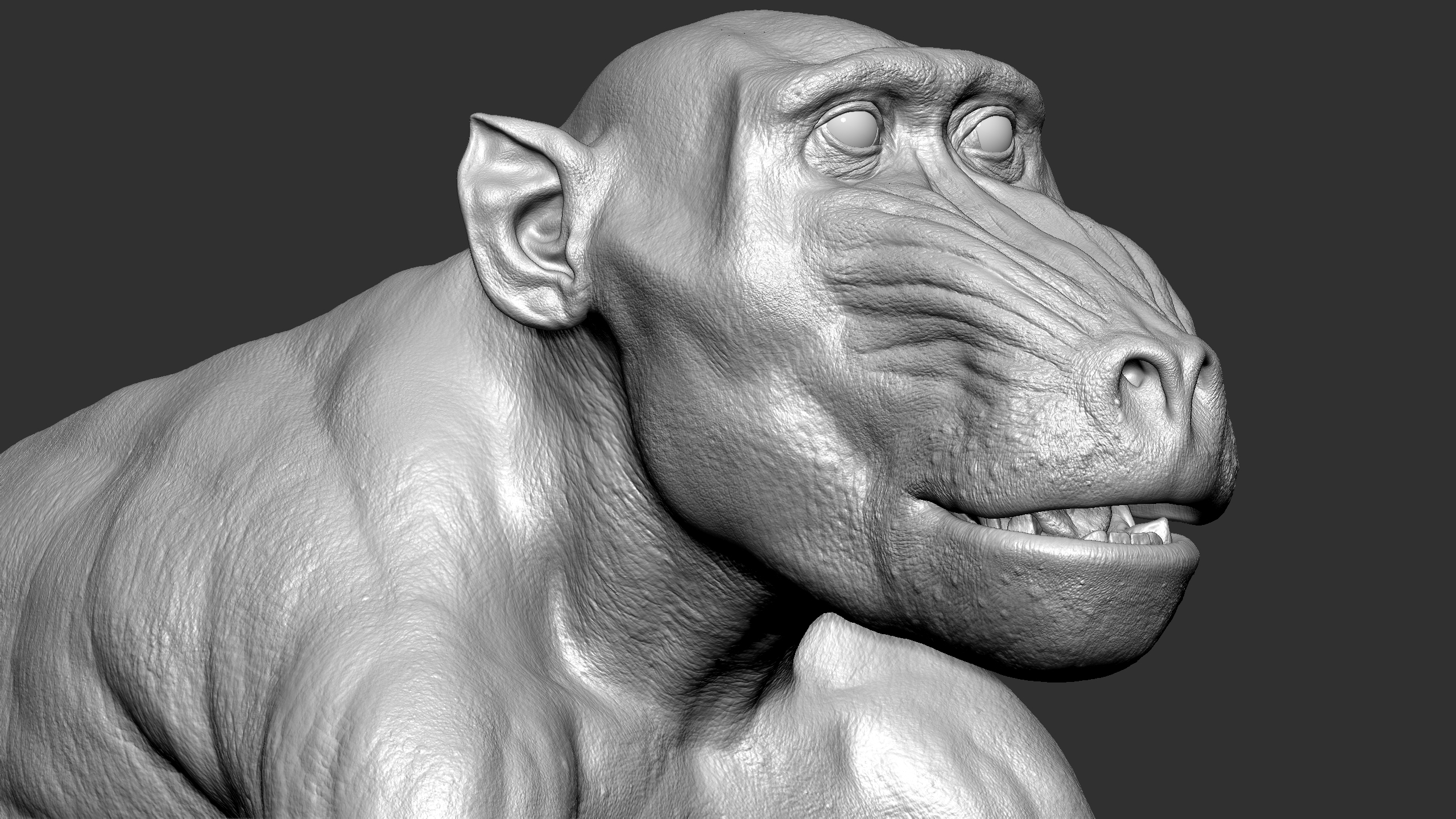 3D model Mandrill VFX Zbrush sculpture - TurboSquid 1919416
