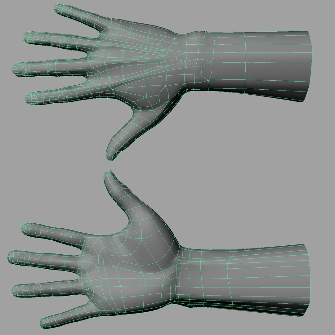 Human Hand 3d Model