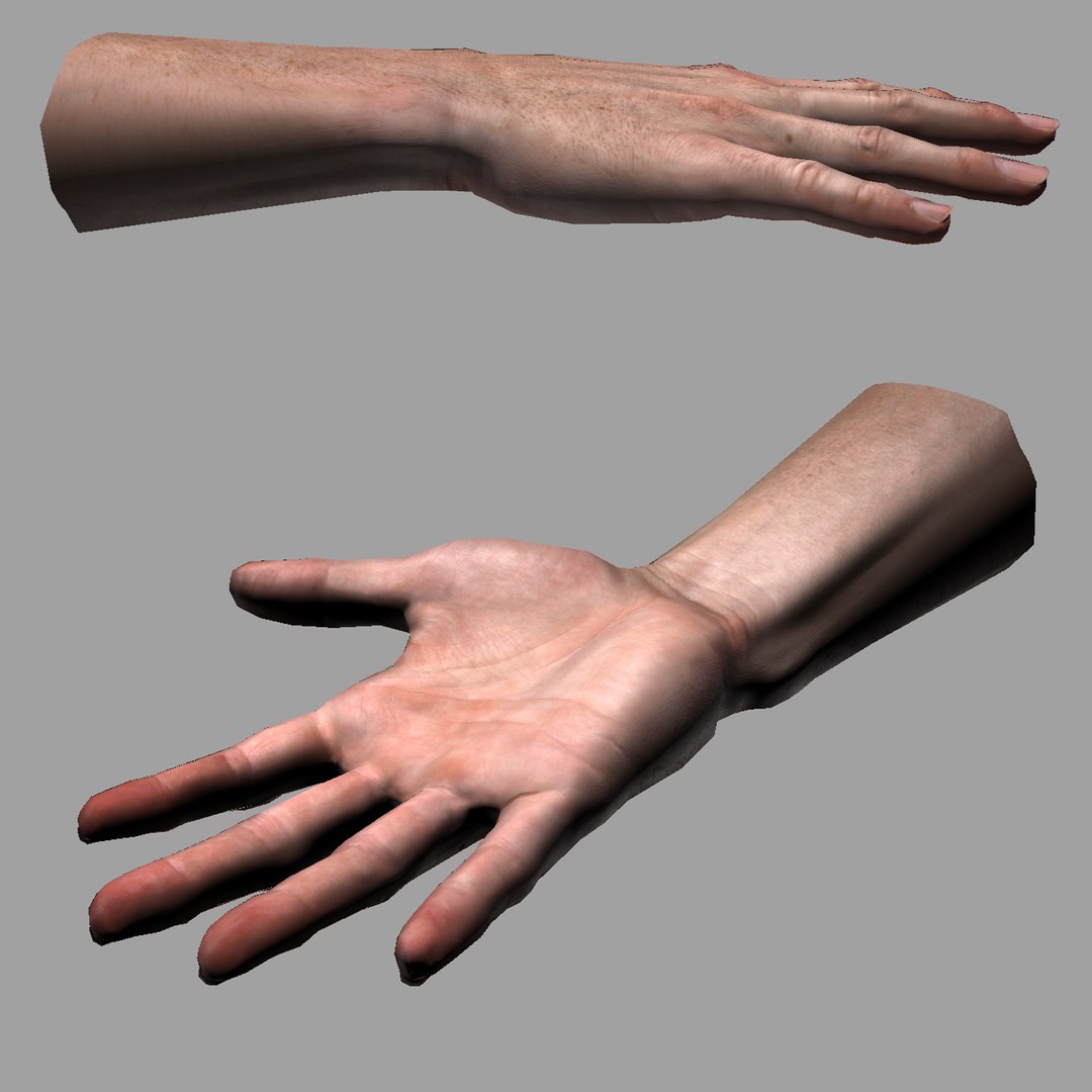 Human Hand 3d Model