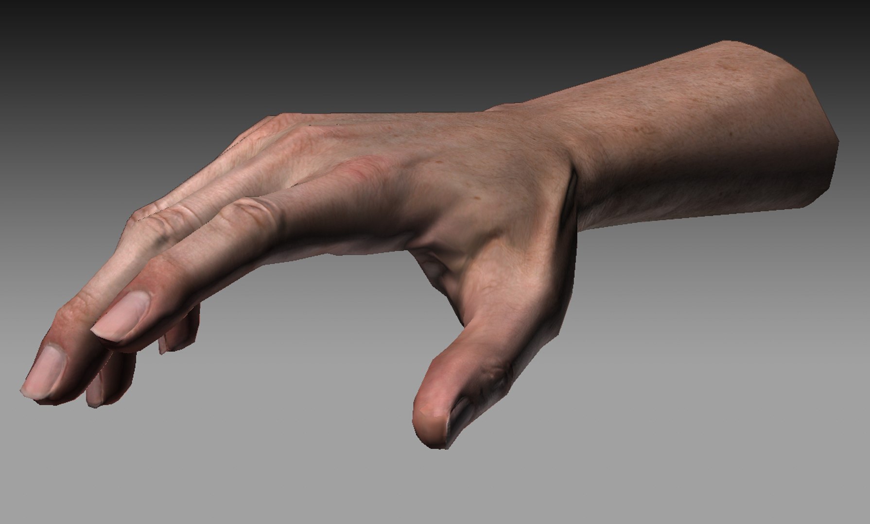 Human Hand 3d Model