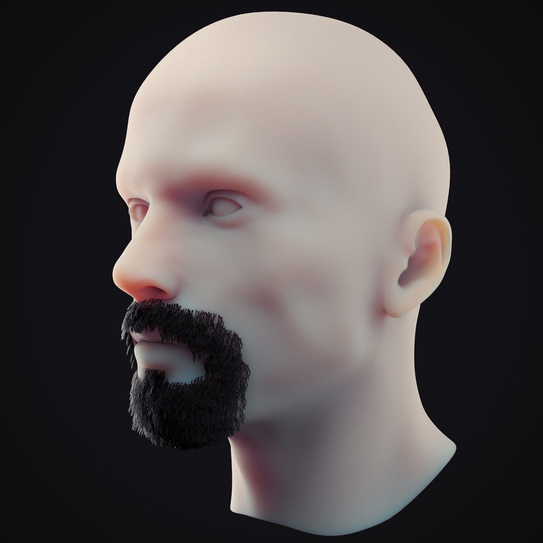 3D Beard 1 Model - TurboSquid 1489613