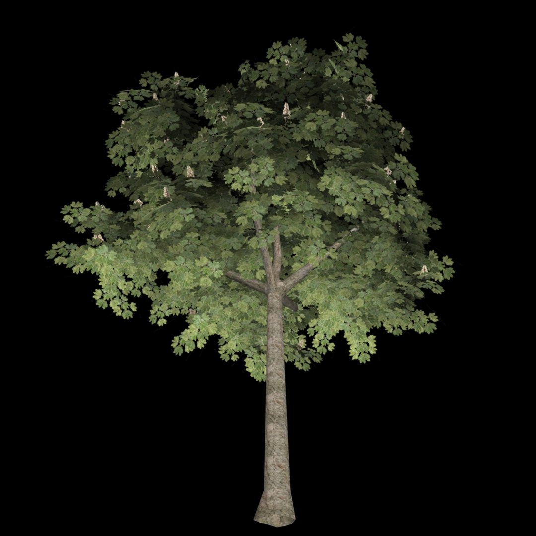 3ds Max 20 Trees Shrubs