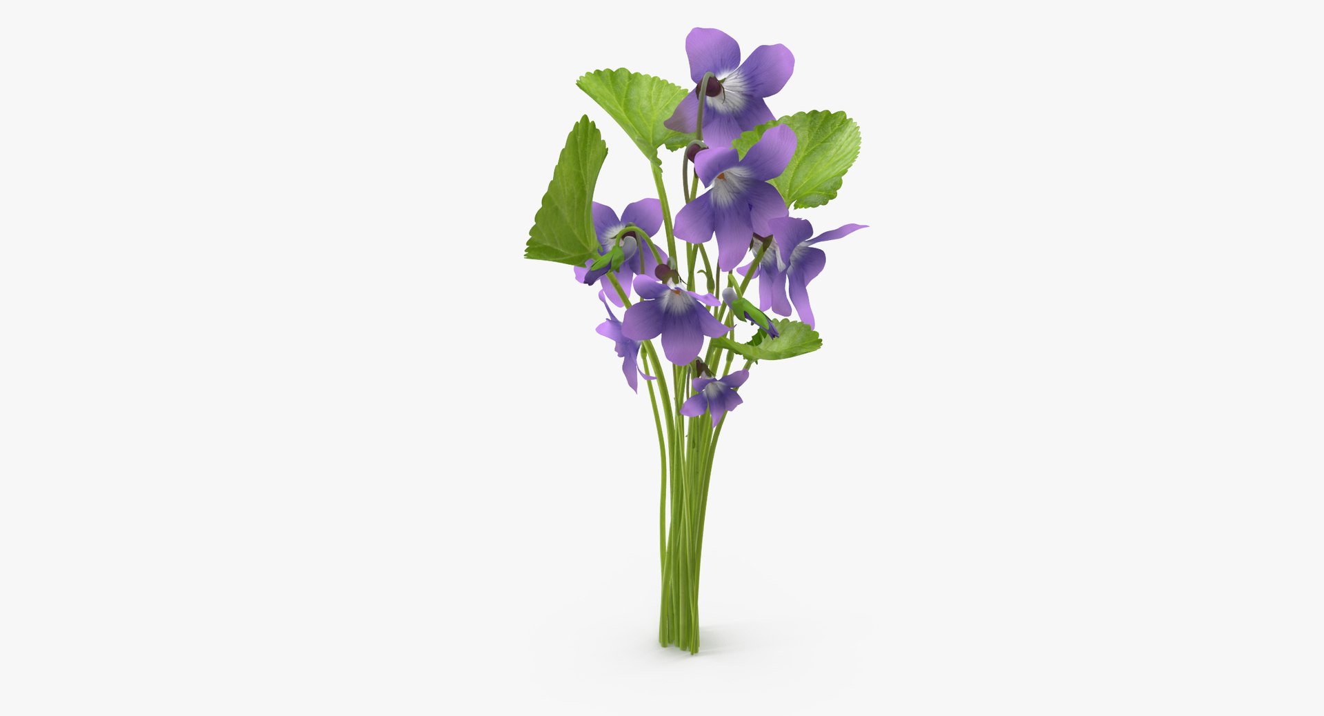3d Violet Bouquet - Model