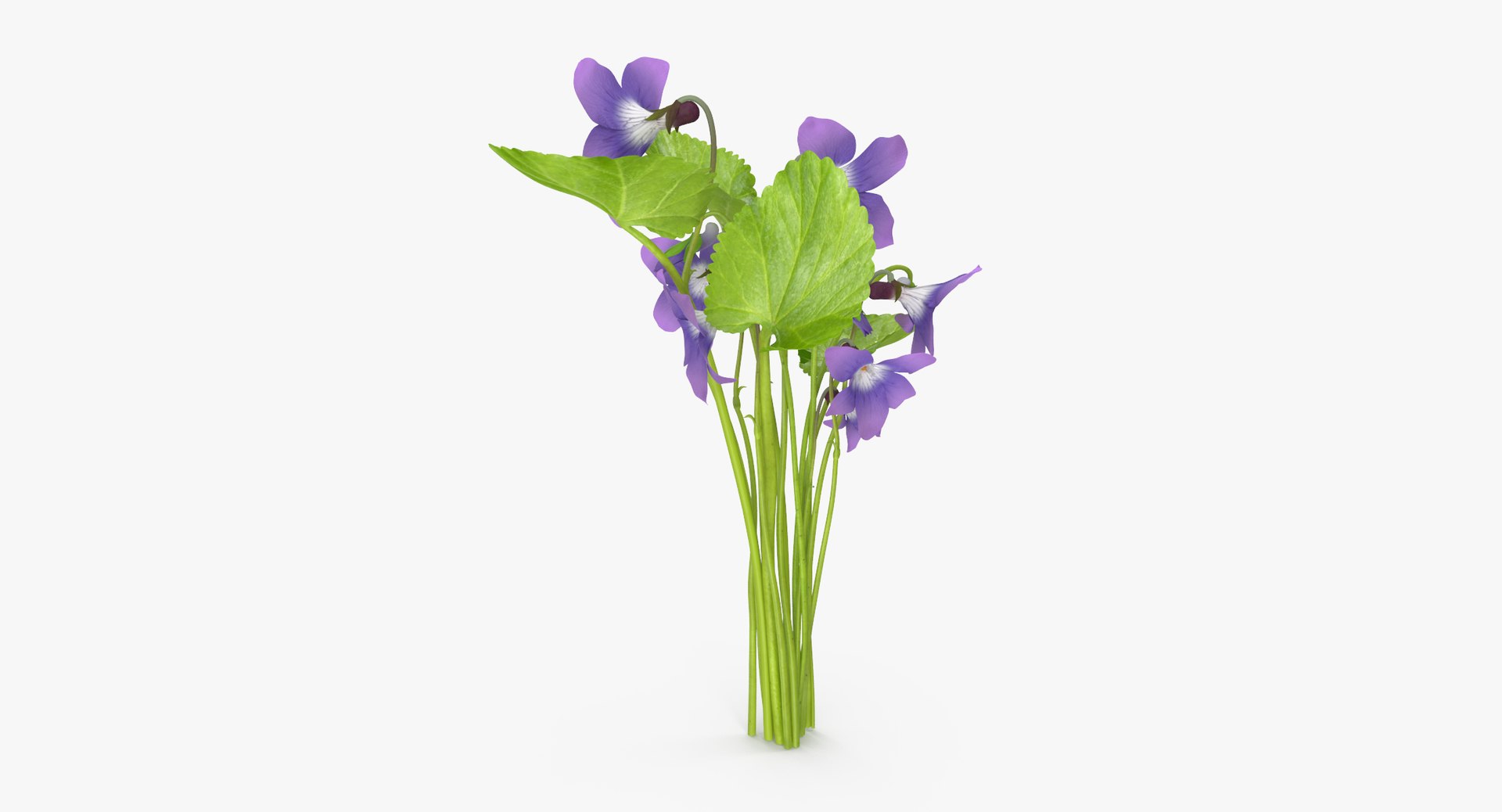 3d Violet Bouquet - Model