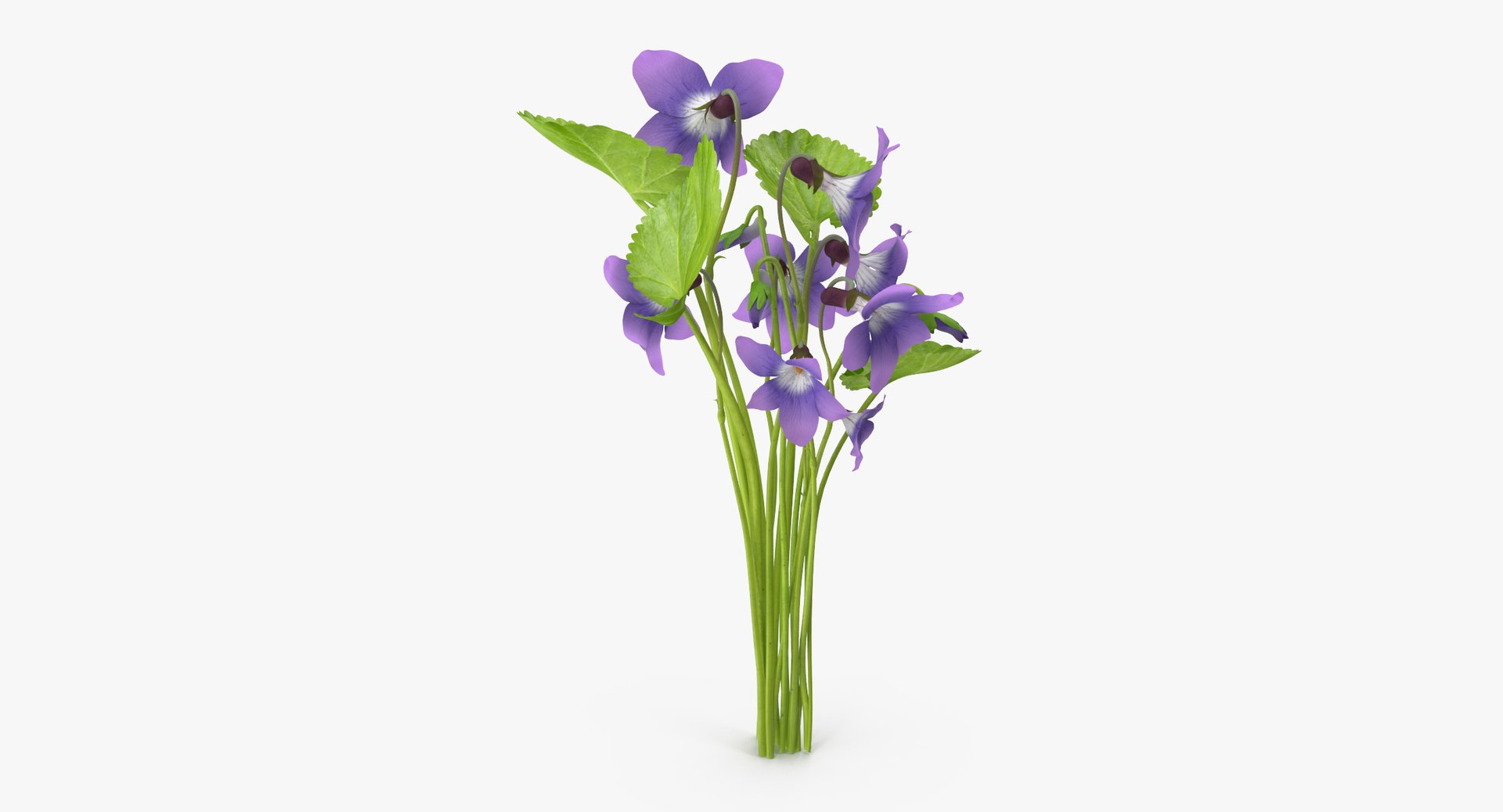 3d Violet Bouquet - Model