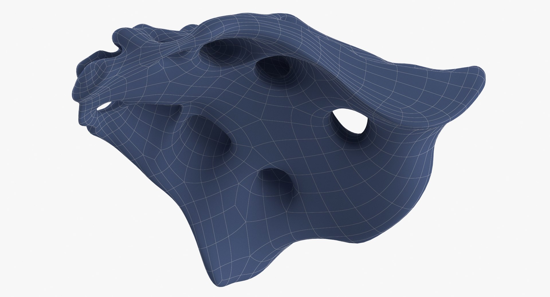 Sacrum Vertebrae S1 S5 3D Model - TurboSquid 1601357