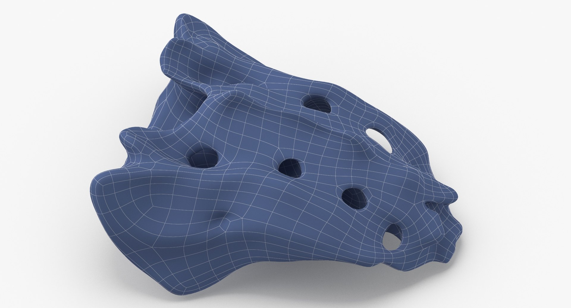 Sacrum Vertebrae S1 S5 3D Model - TurboSquid 1601357