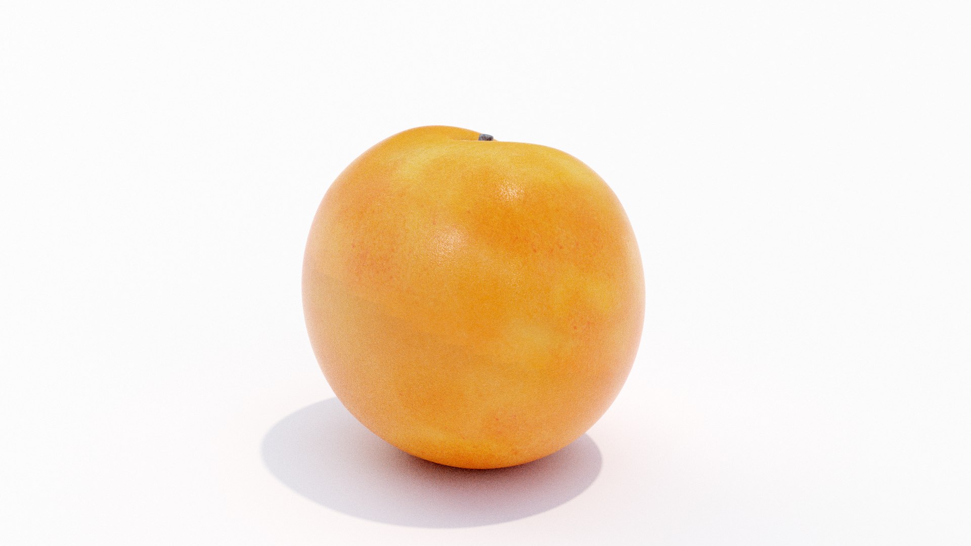Apricot 3D Model - TurboSquid 1955592