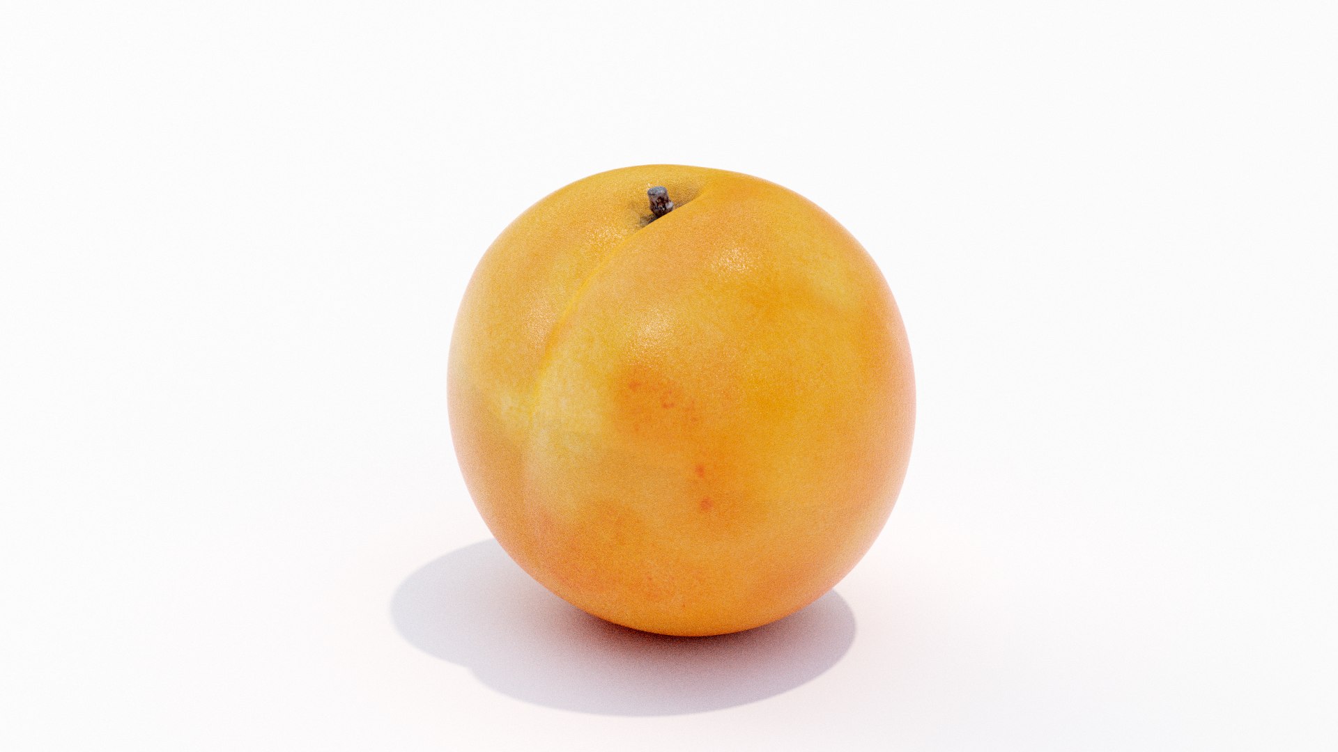 Apricot 3D Model - TurboSquid 1955592