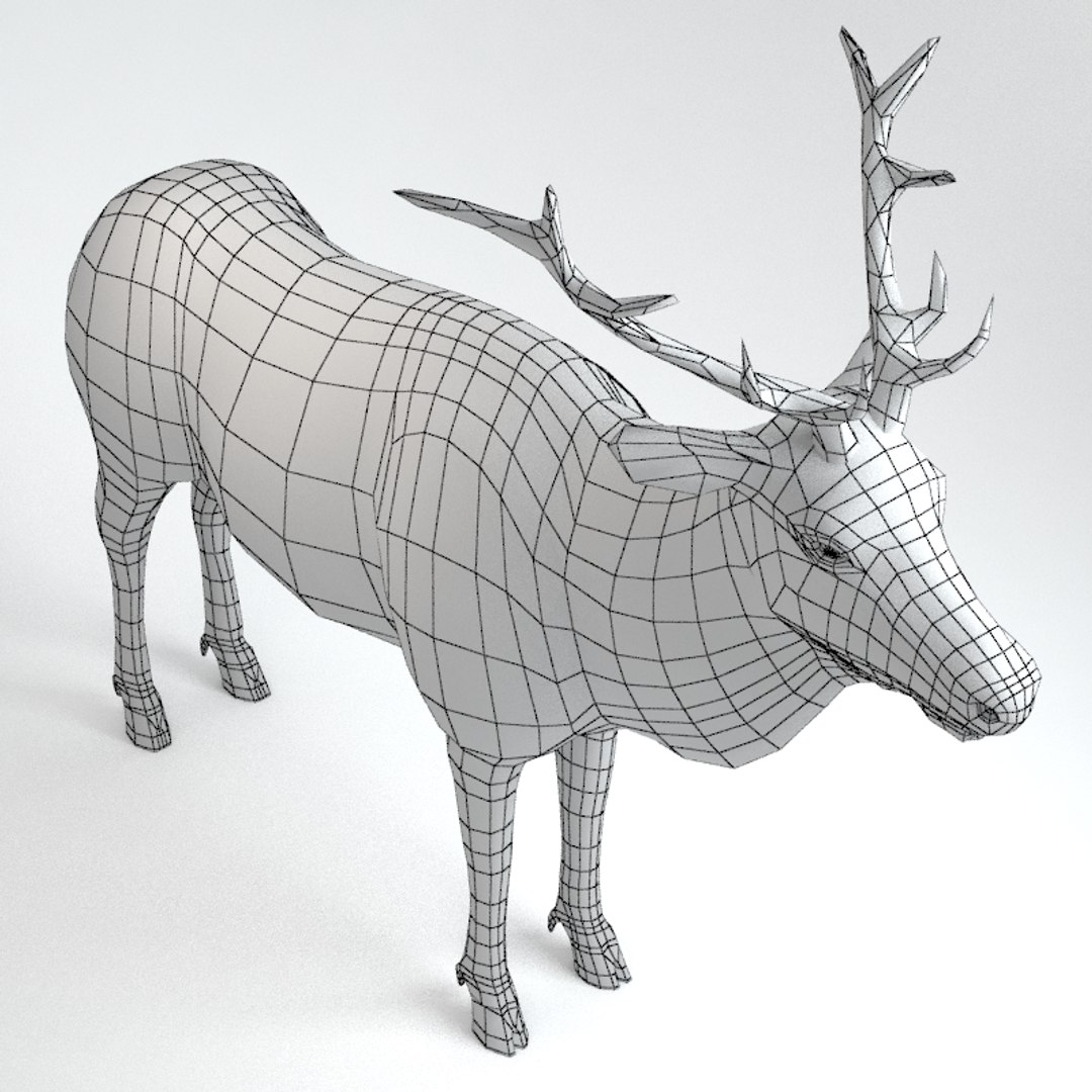 3d Male Elk Model