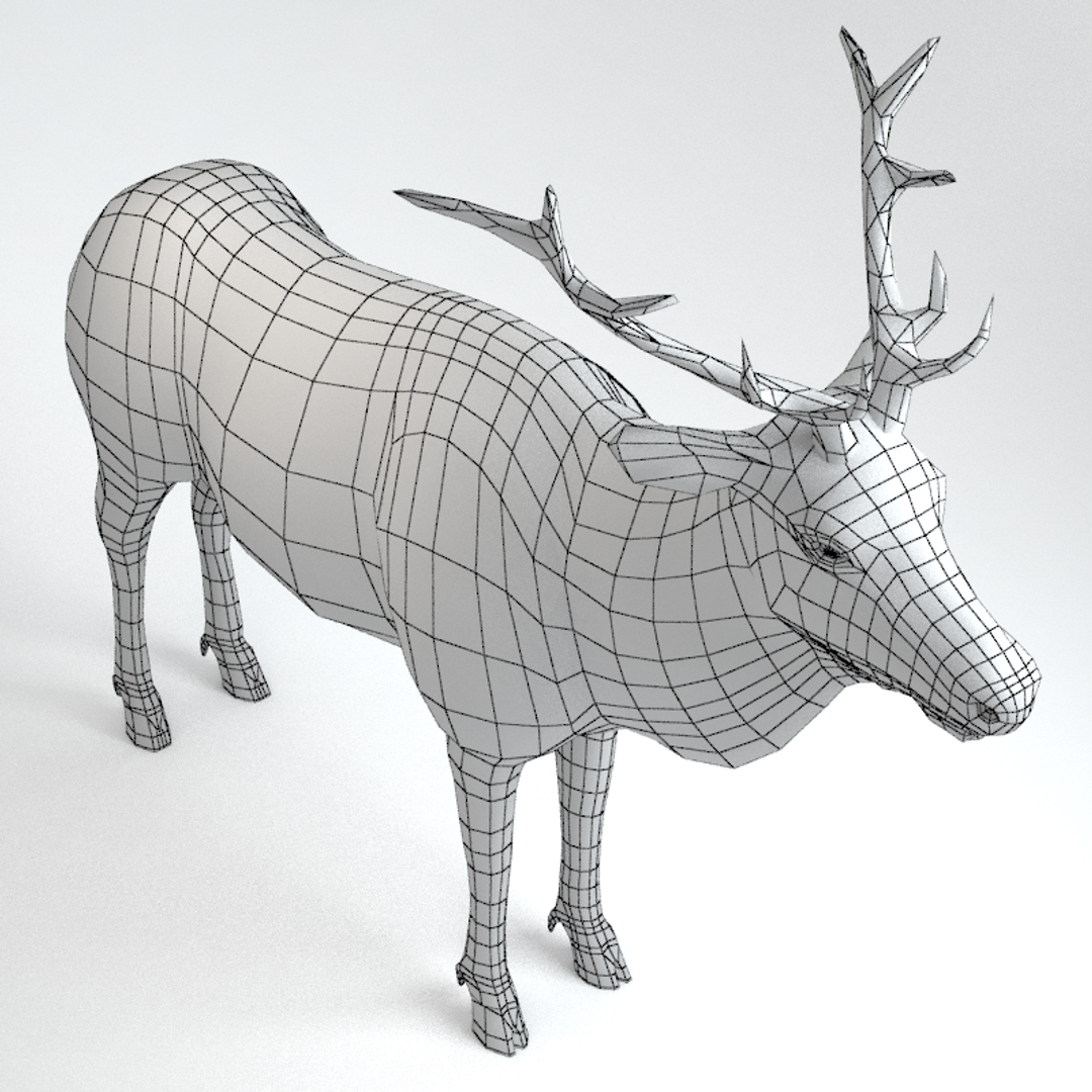 3d male elk model